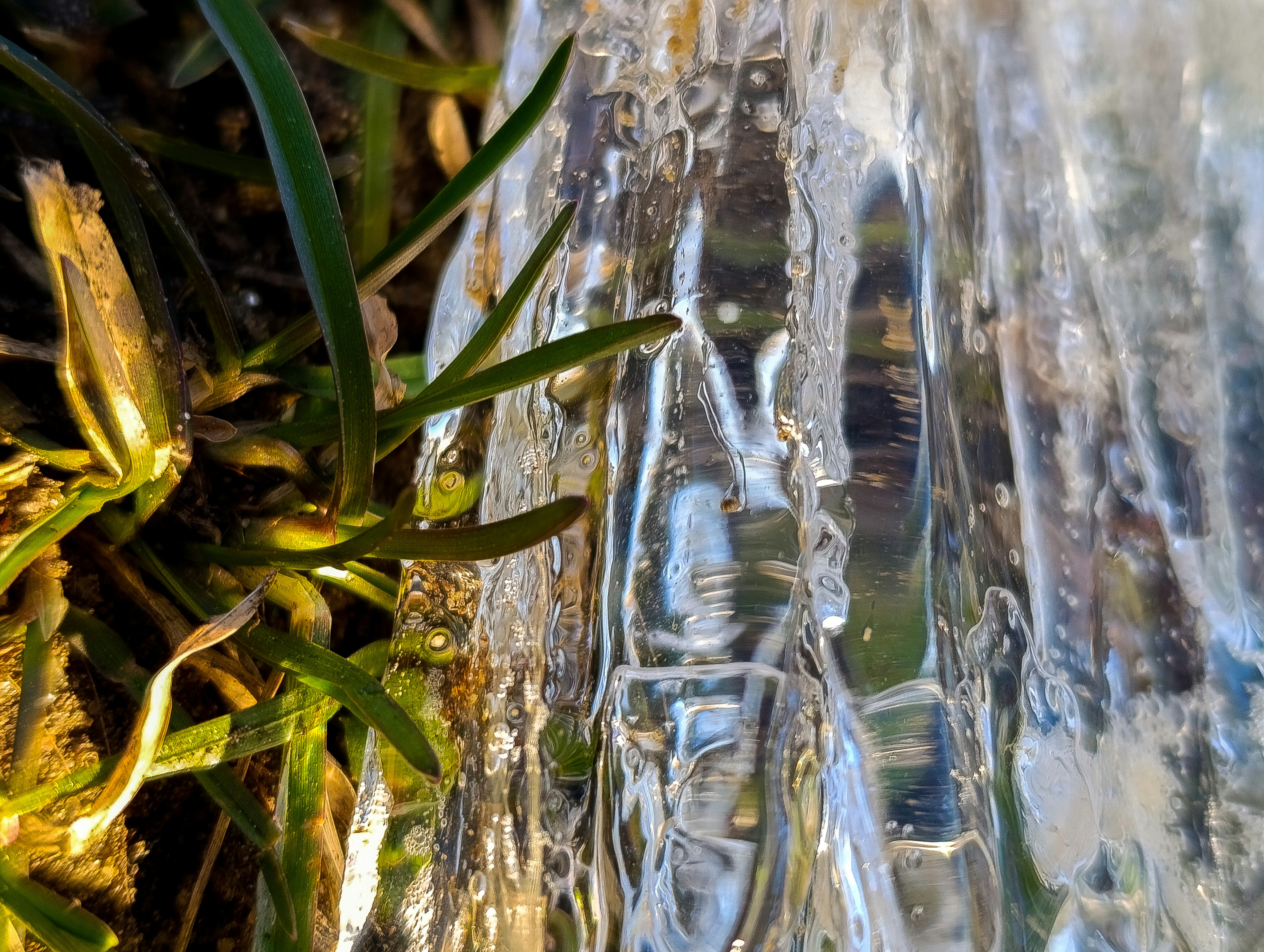 Crystalline Curtain by the Garden: Ice Sheets Reflect Sunlit Greens