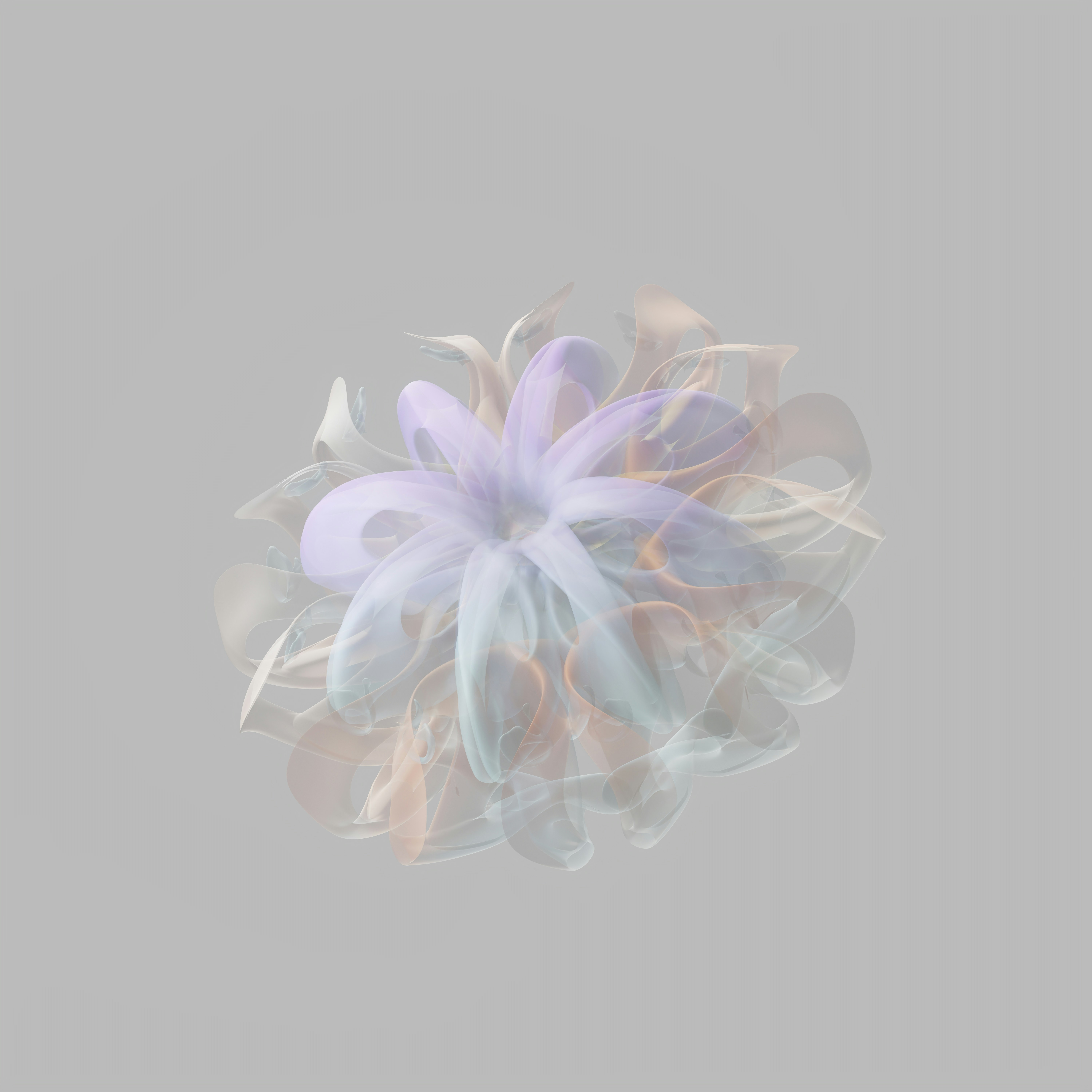 Une fleur rêveuse et floue flotte doucement. photo – Image gratuite de ...