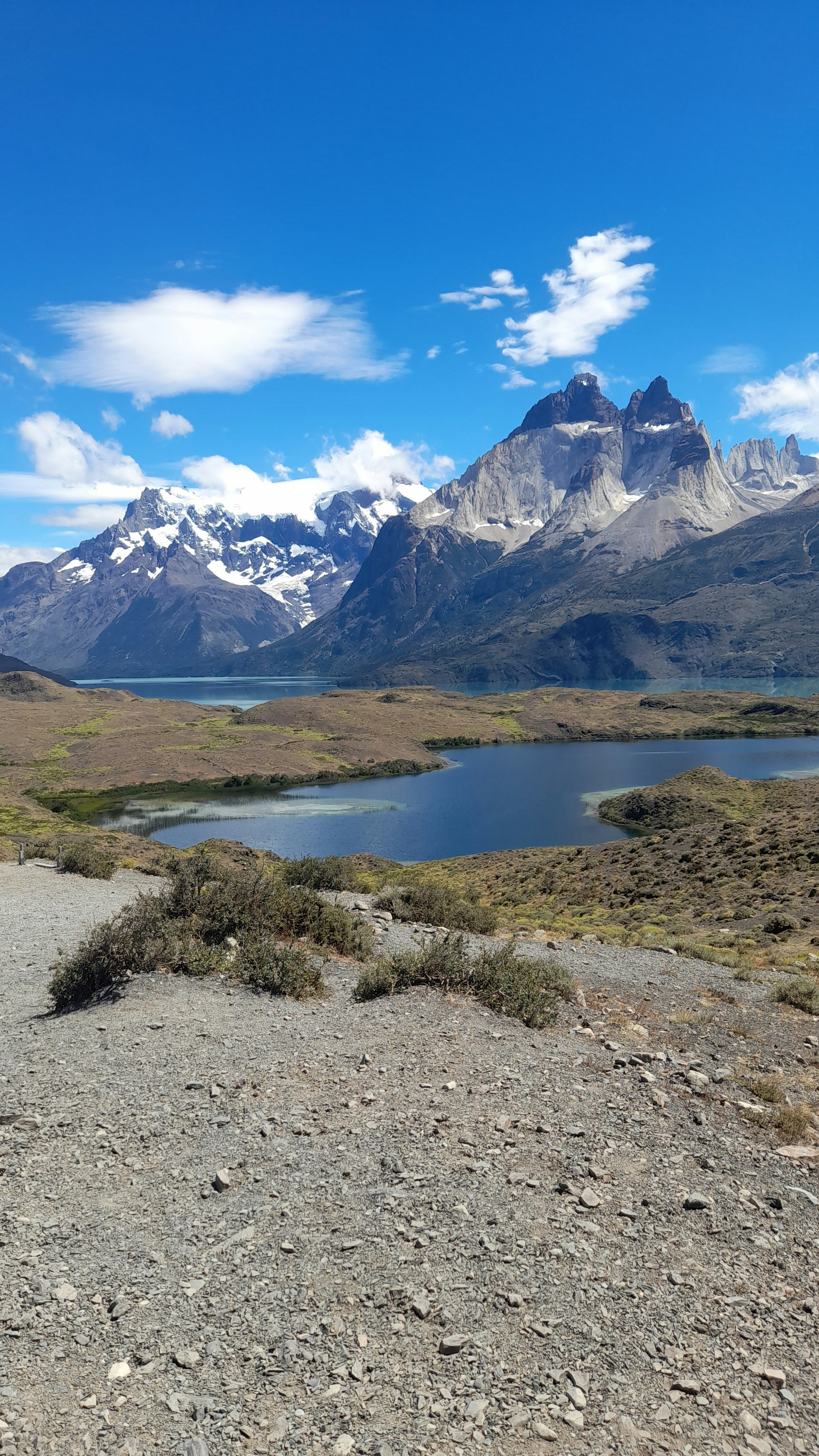 Vast landscape featuring towering mountains and a tranquil lake surrounded by lush greenery in Patagonia.