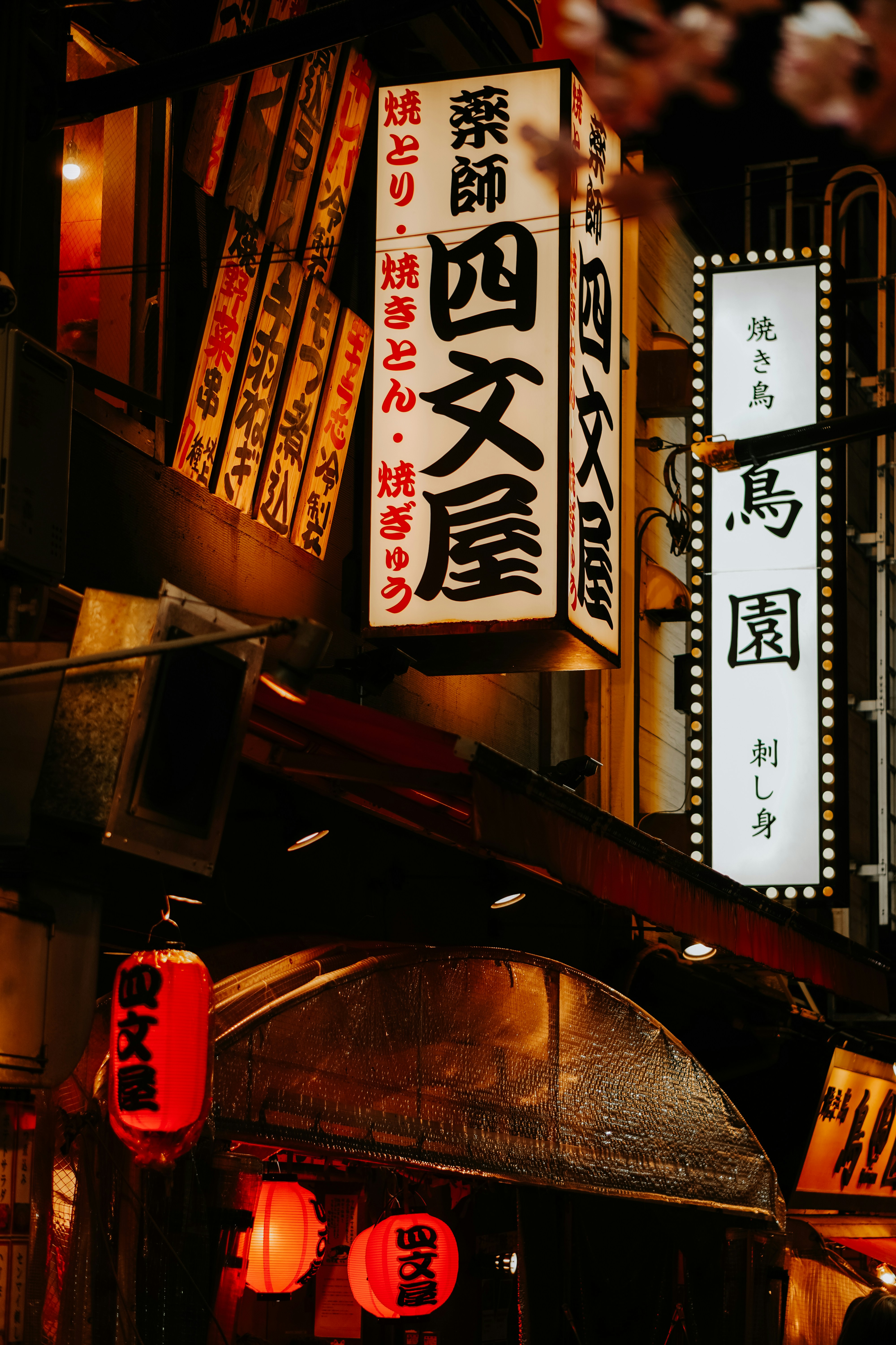 Neon Kanji Night: A Lantern-Lit Alley Framed by Bold Signboards