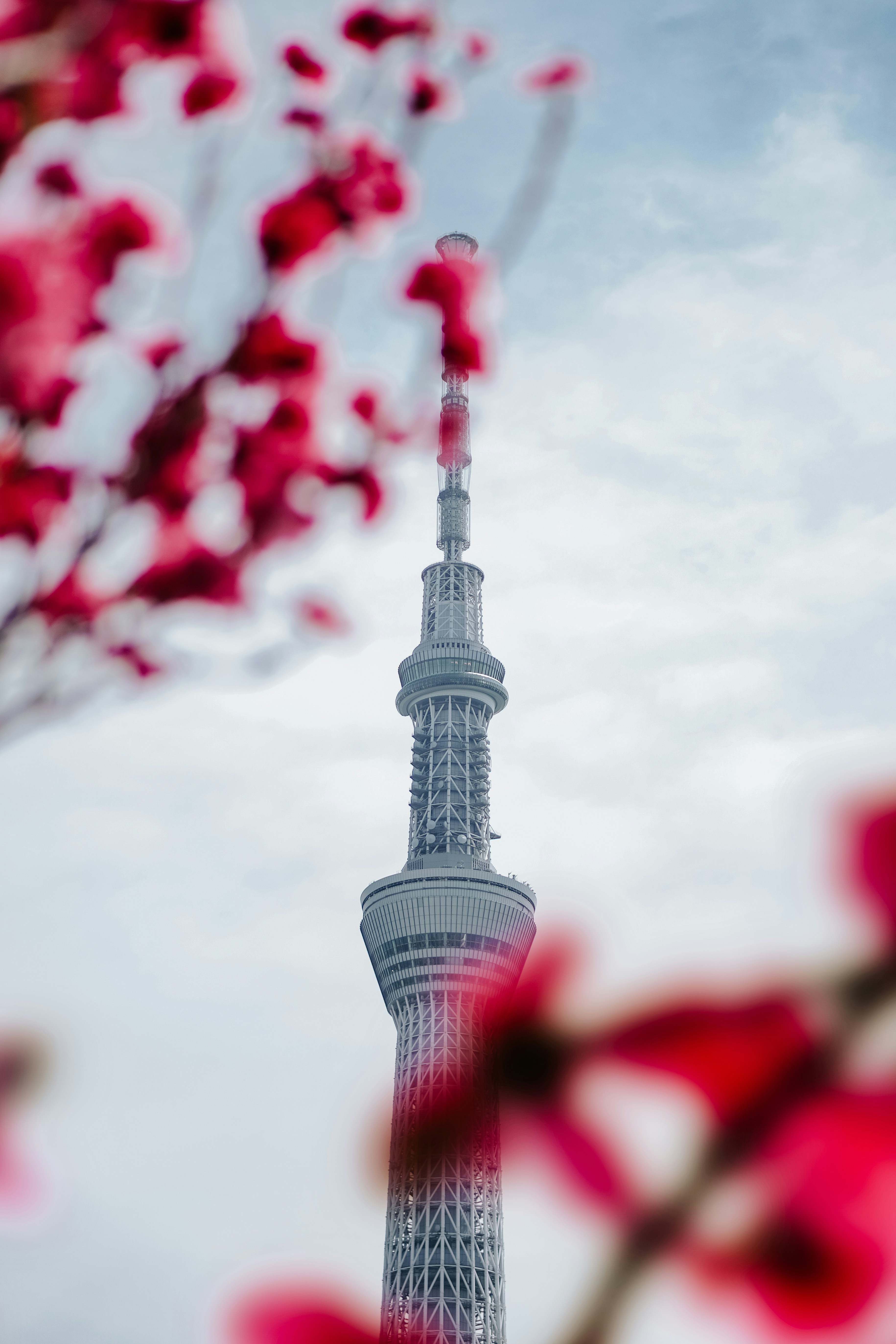 Ramon Buçard (@ramonbucard) | Unsplash 사진 커뮤니티