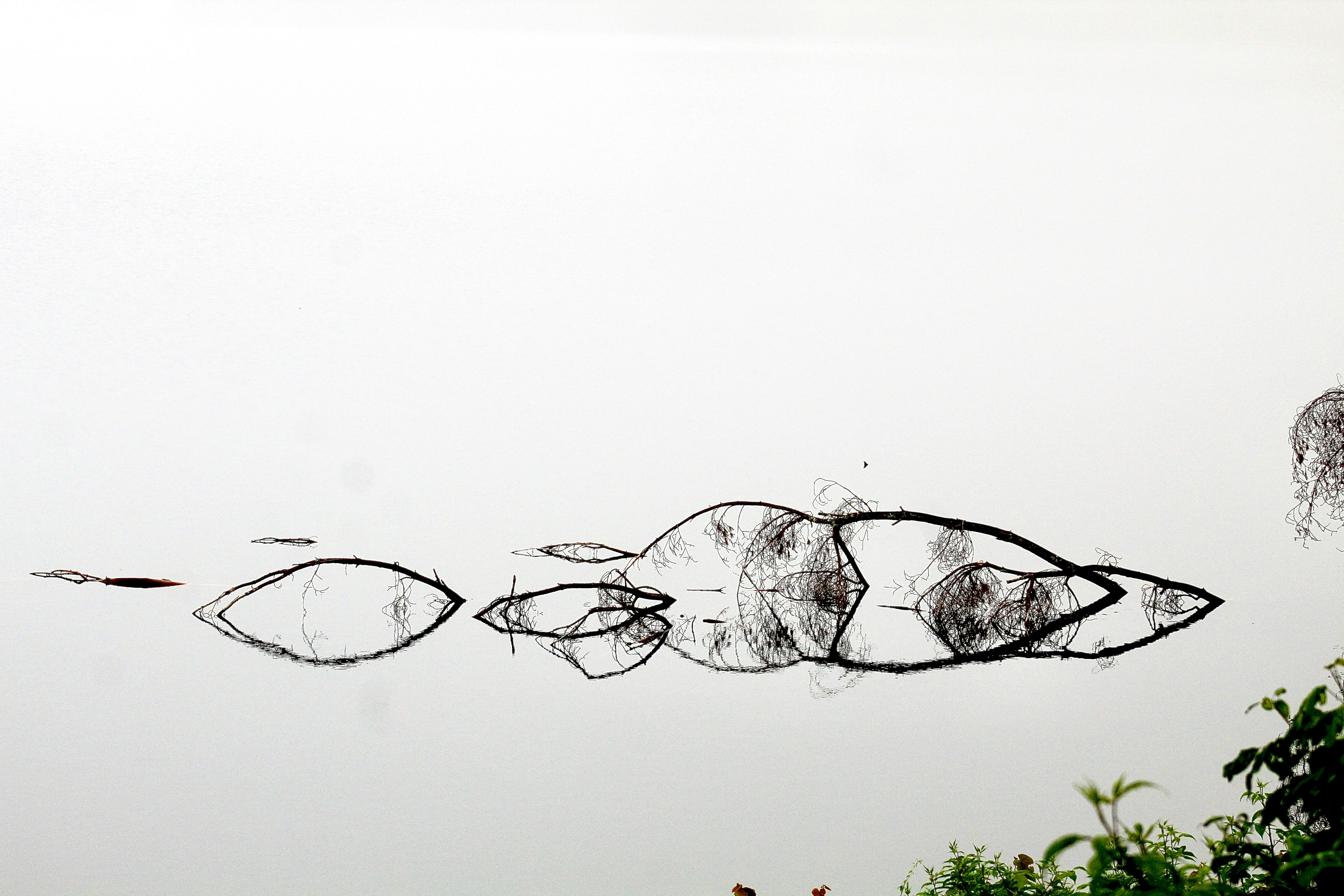 Ethereal Reflections: Nature's Minimalist Canvas