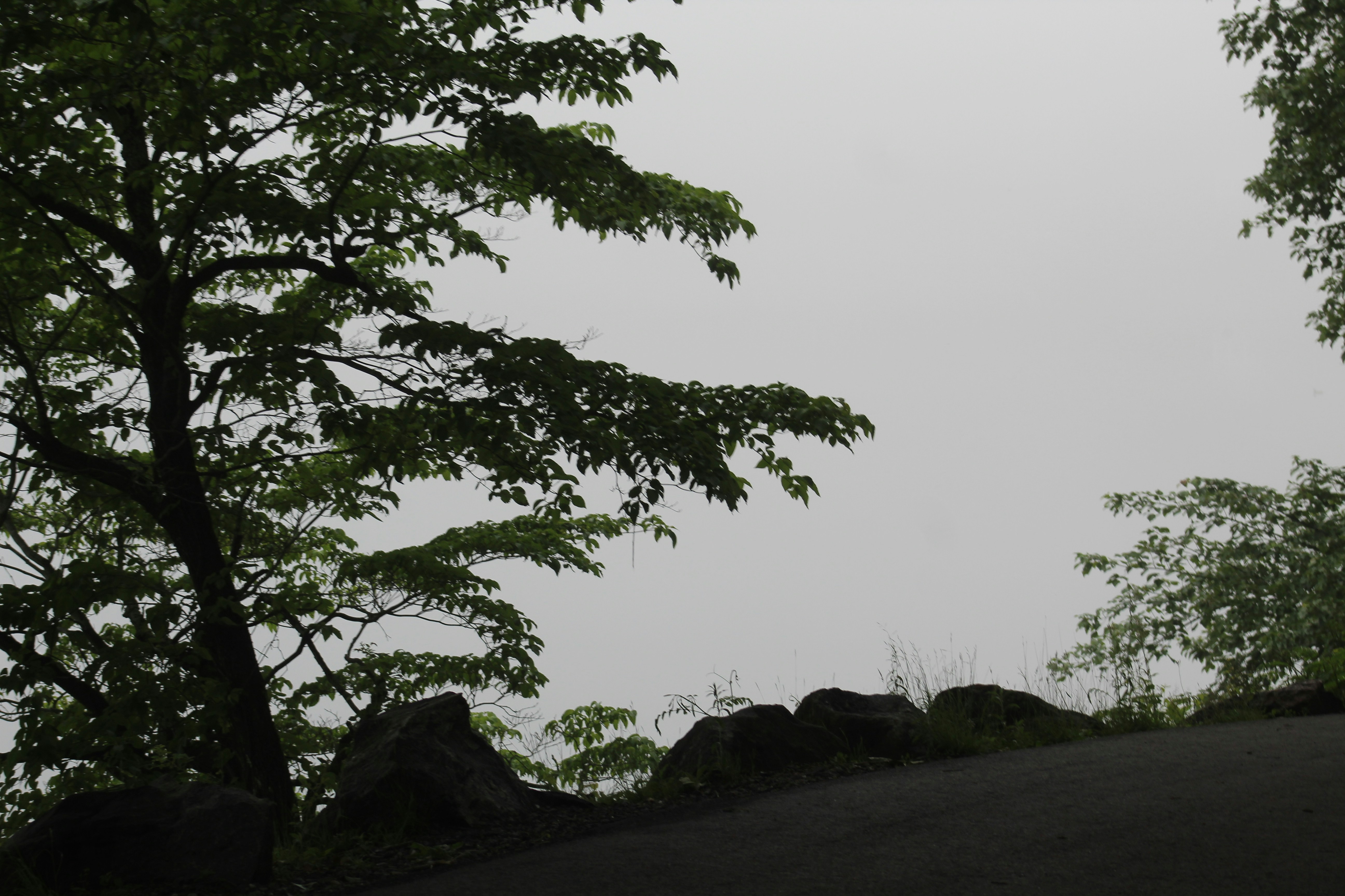 Photo by Jimi A. with Canon EOS 1300D