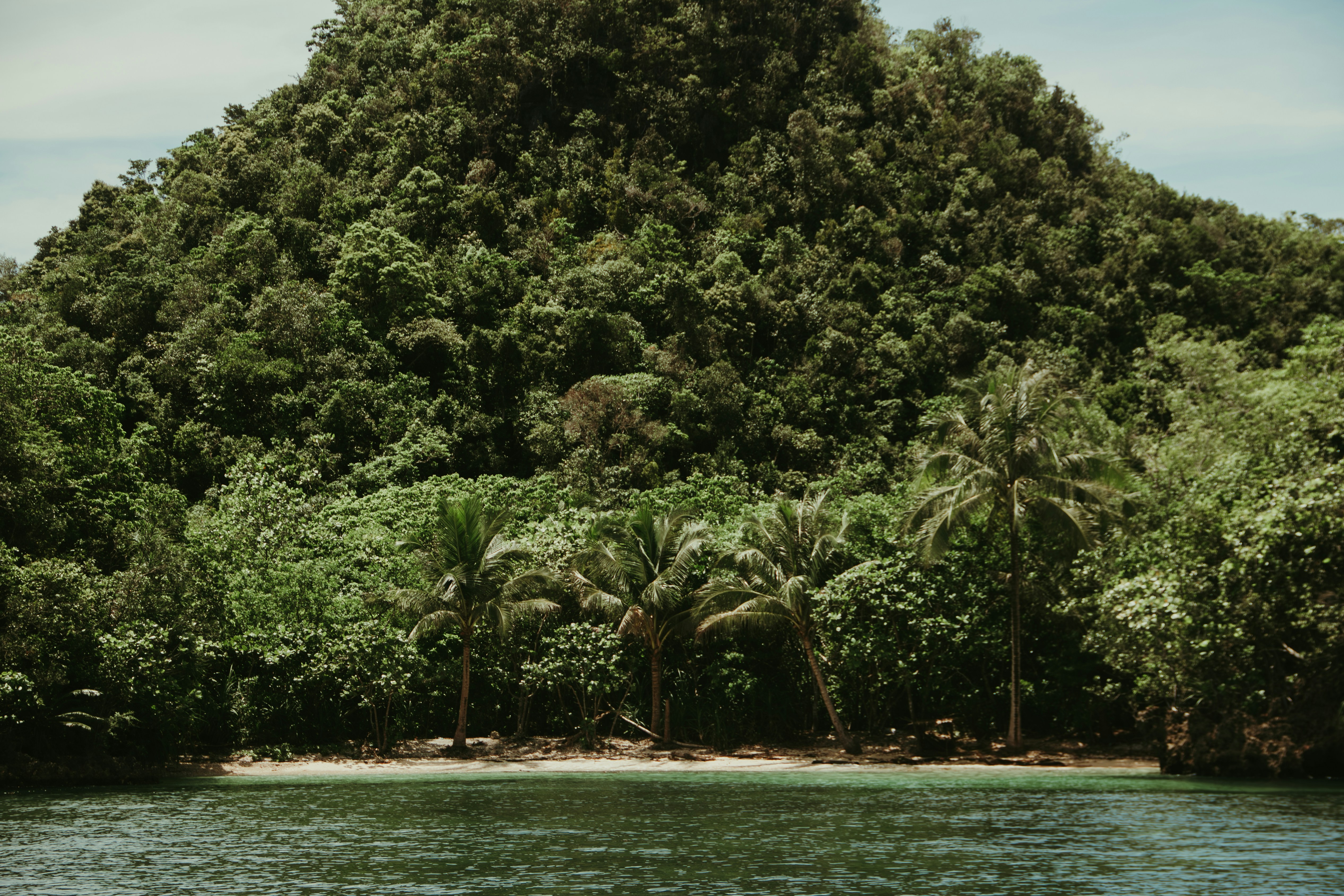 Emerald Embrace: Nature's Oasis