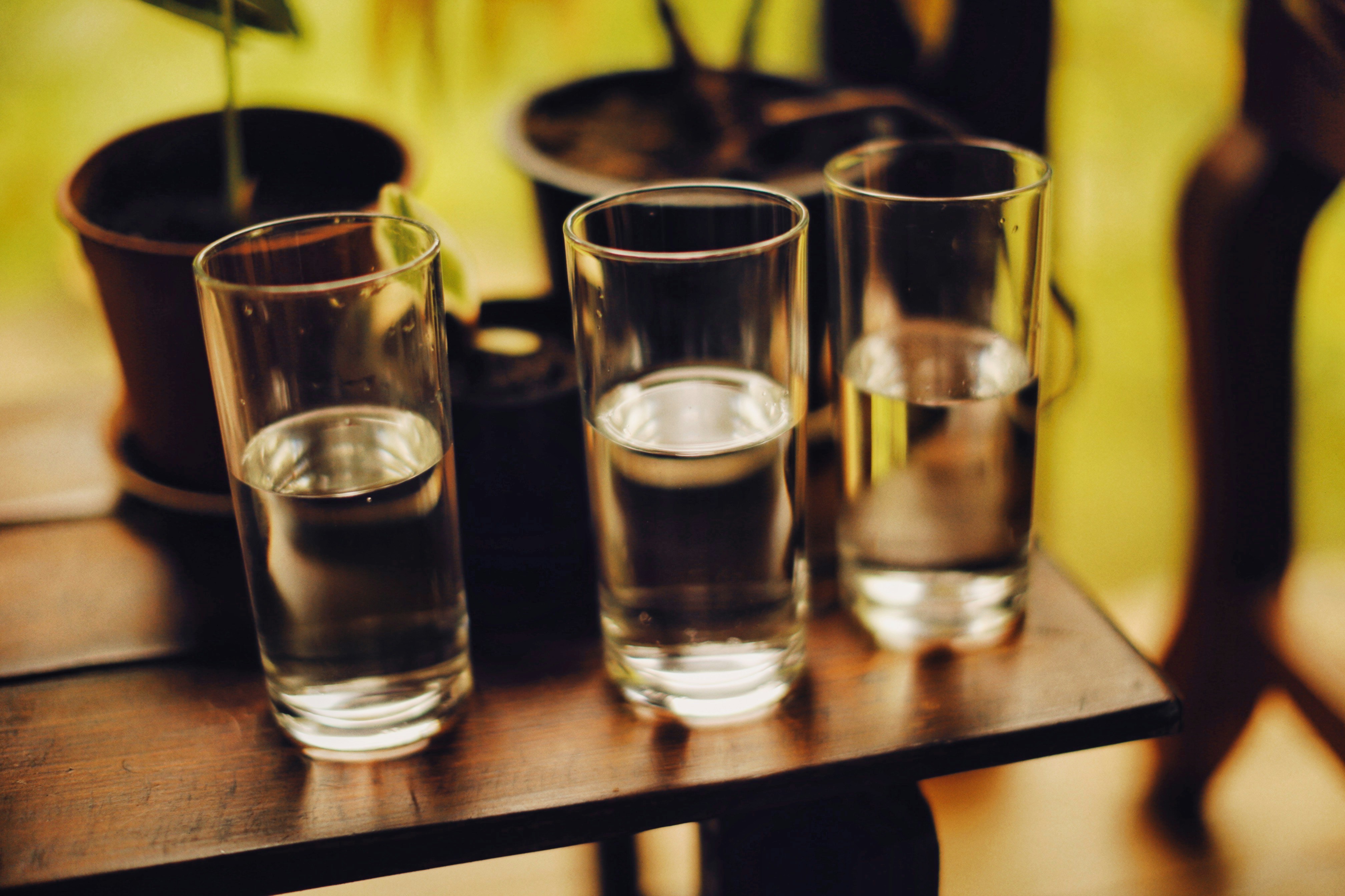 Three clear glasses filled with water sit on a wooden table, surrounded by potted plants, creating a tranquil indoor setting.
