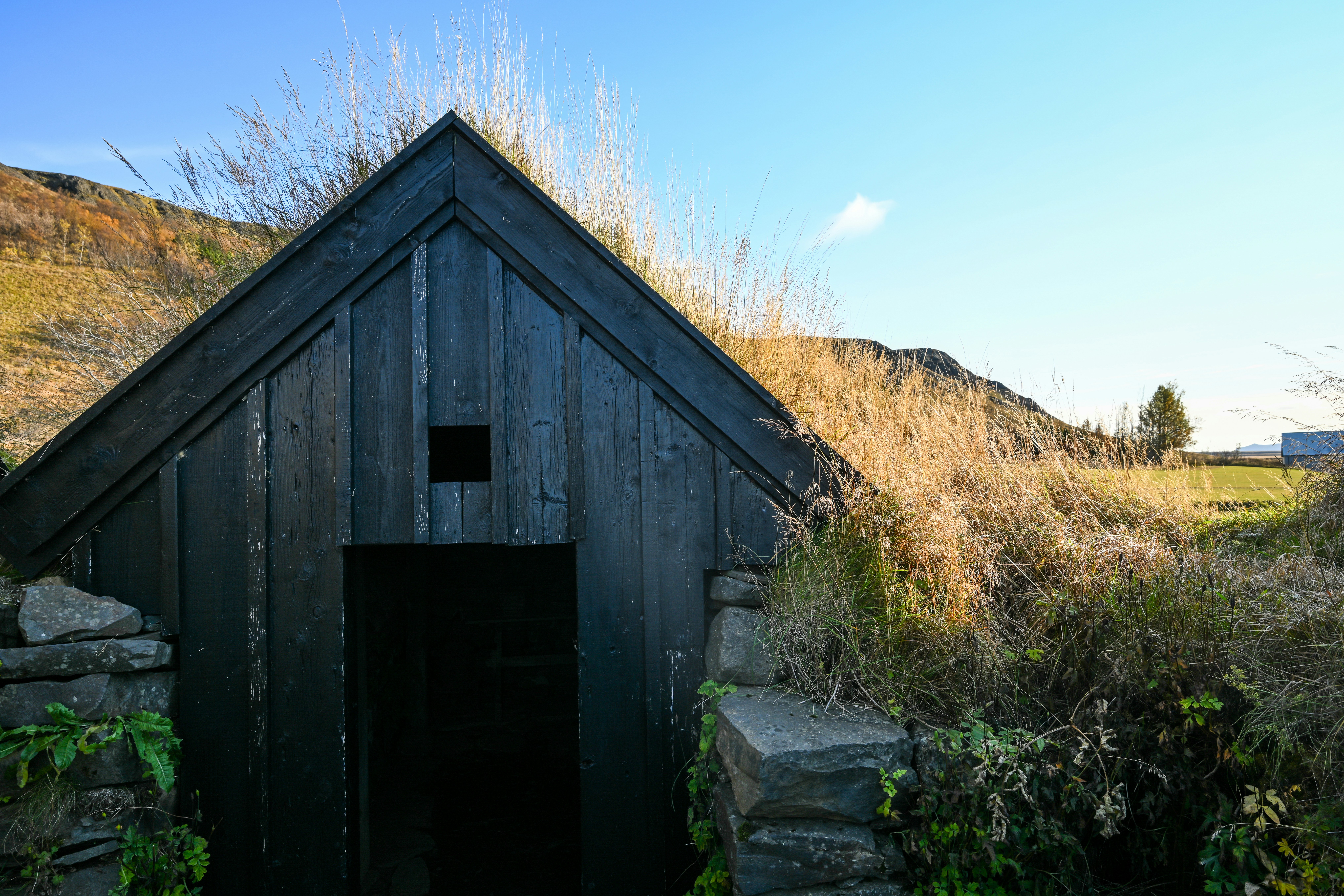 Weathered black wooden structure with overgrown grass on the roof, nestled in a serene landscape under a clear blue sky.