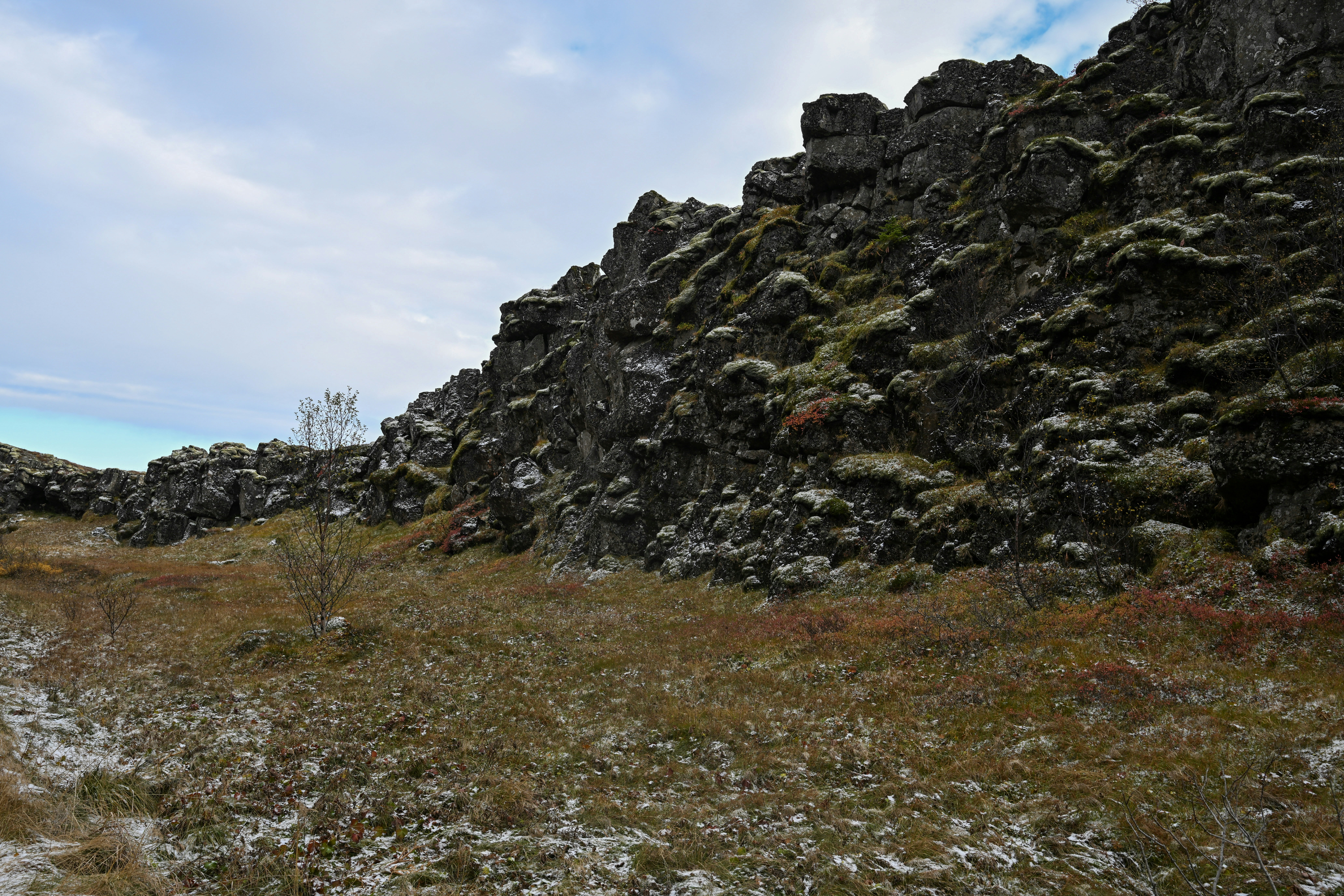 Photo by SOHAM BANERJEE with Nikon Z8