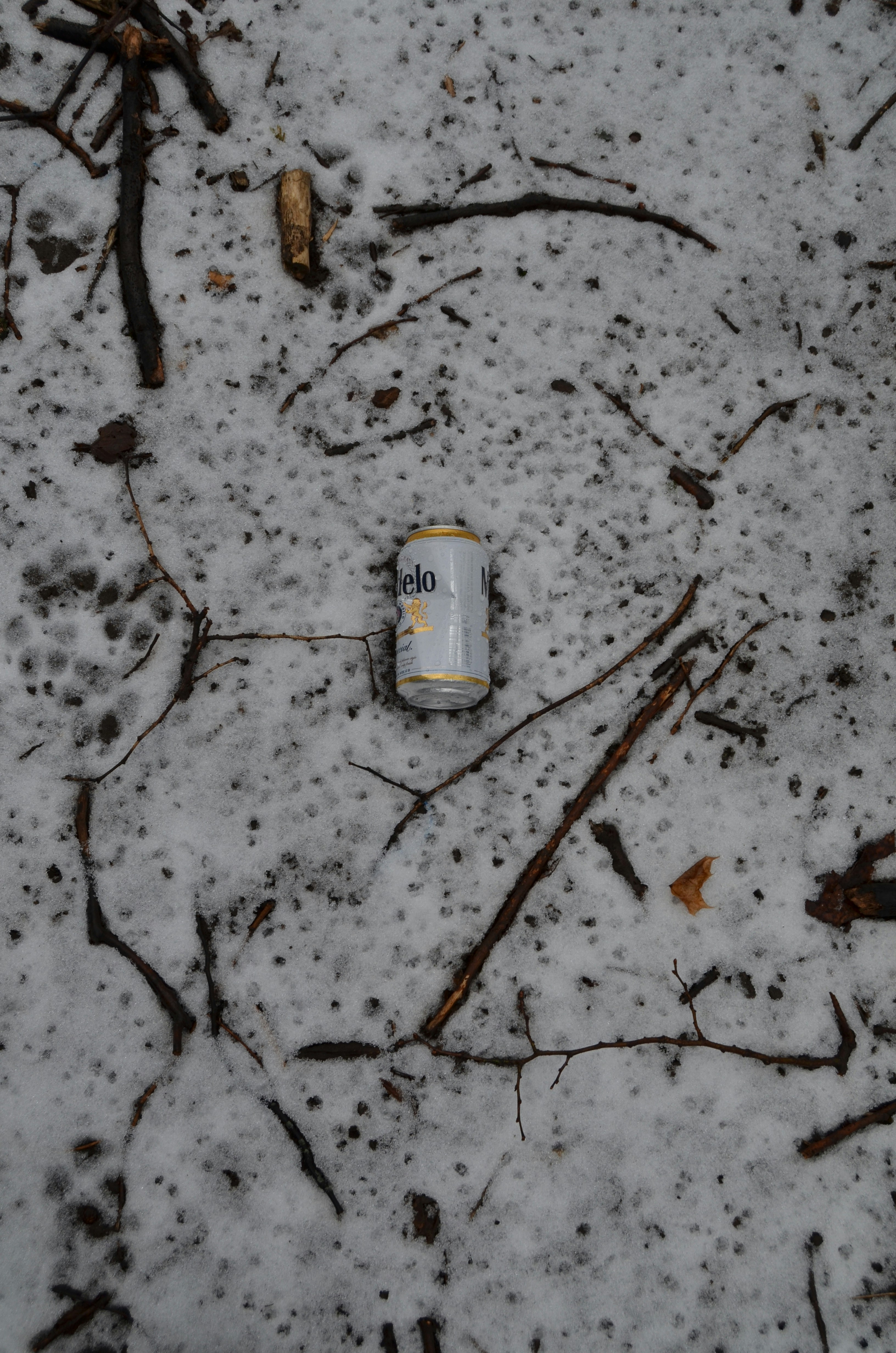 Urban Remnants in a Winter Landscape