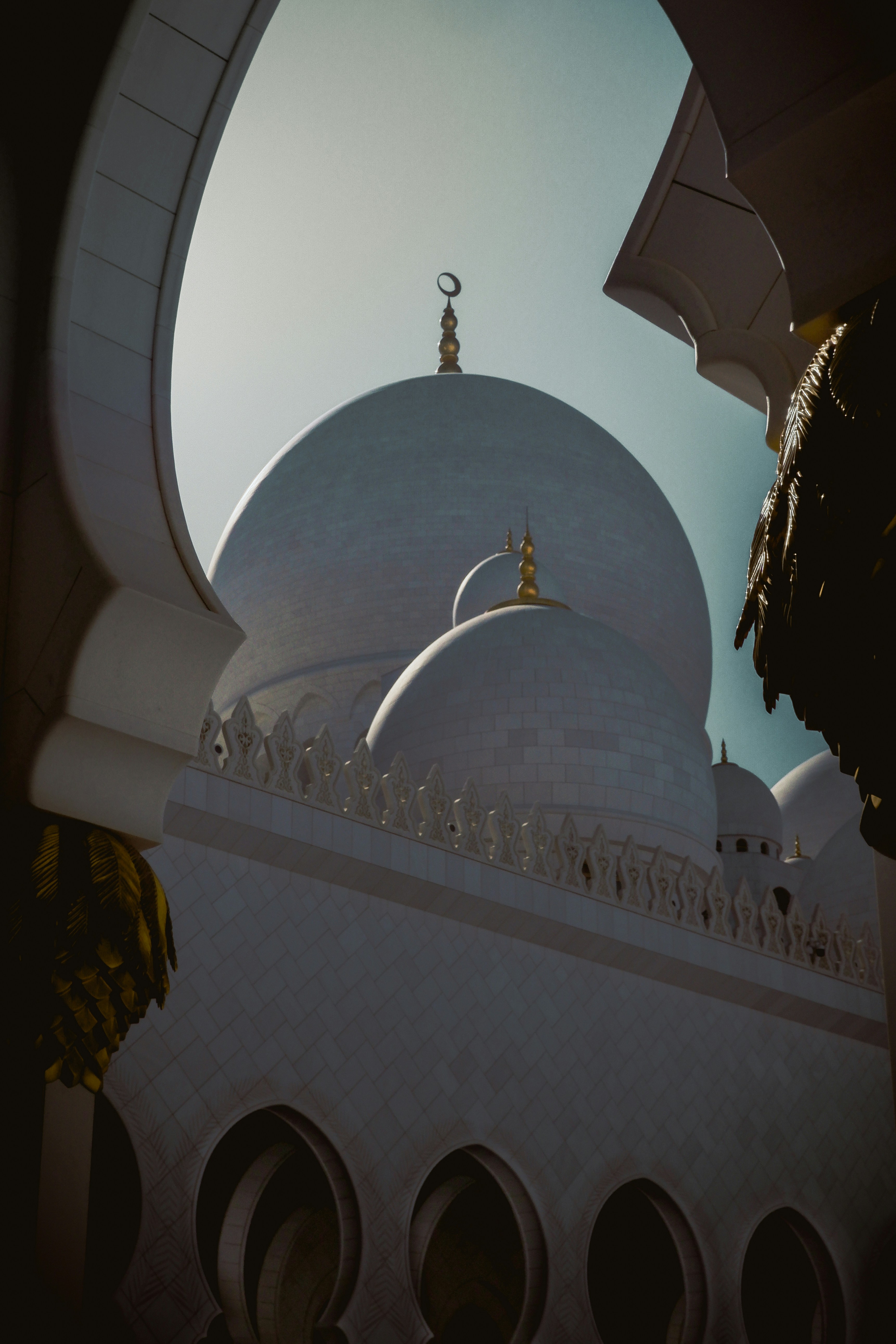 Whispers of Architectural Elegance