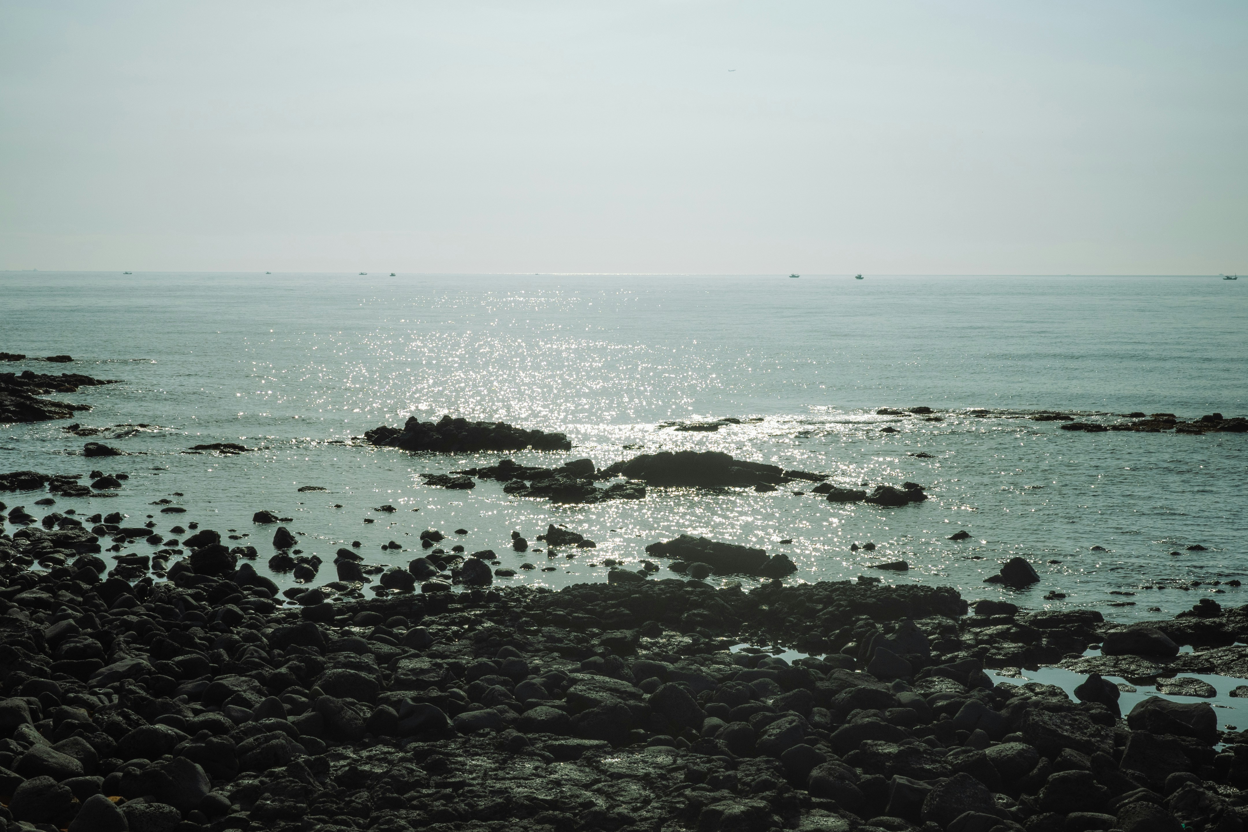 Rocky shore meets calm, shimmering ocean water.