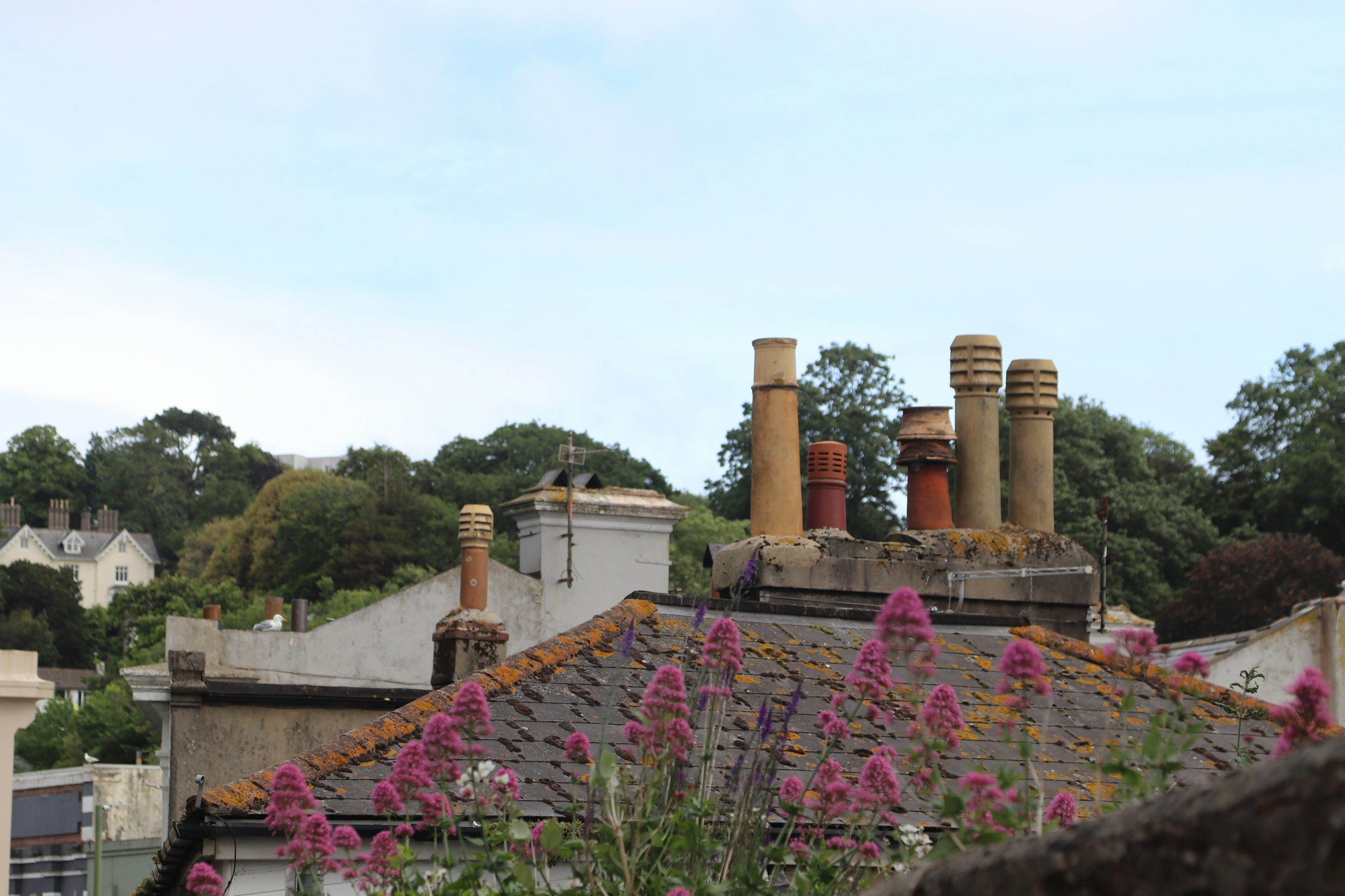 Photo by Tanya Barrow with Canon EOS 77D