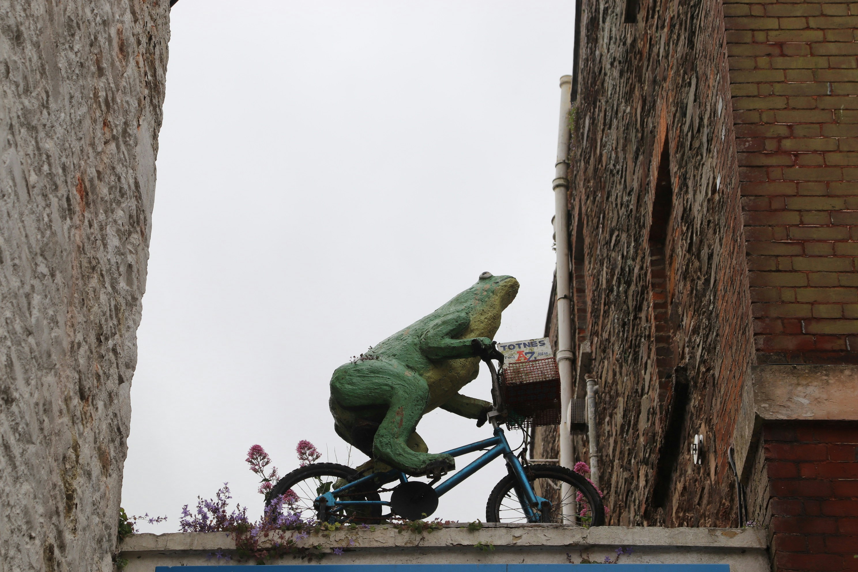 Green Frog on a Blue Bicycle: Whimsy Between Brick and Stone