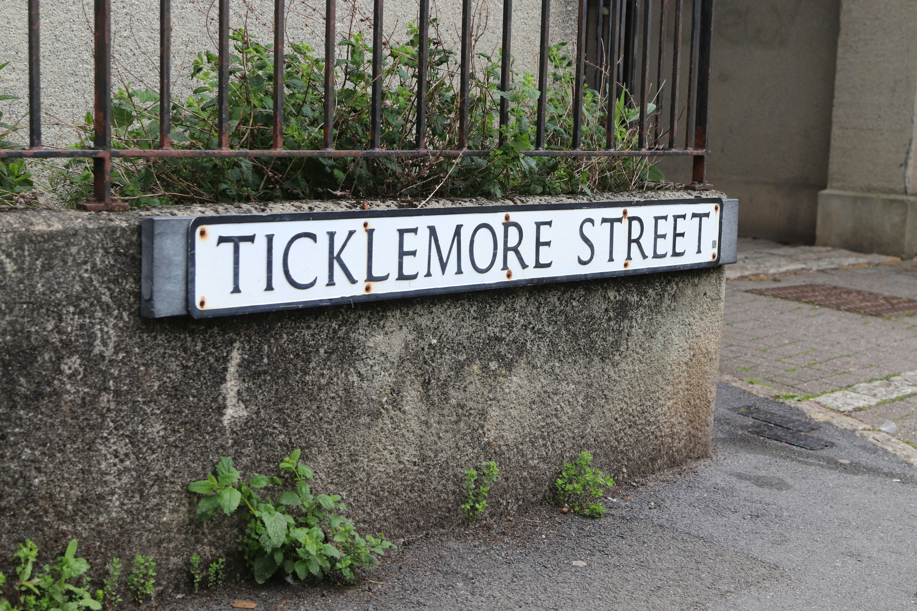 Ticklemore Street: A Weathered Sign Anchored by Greenery