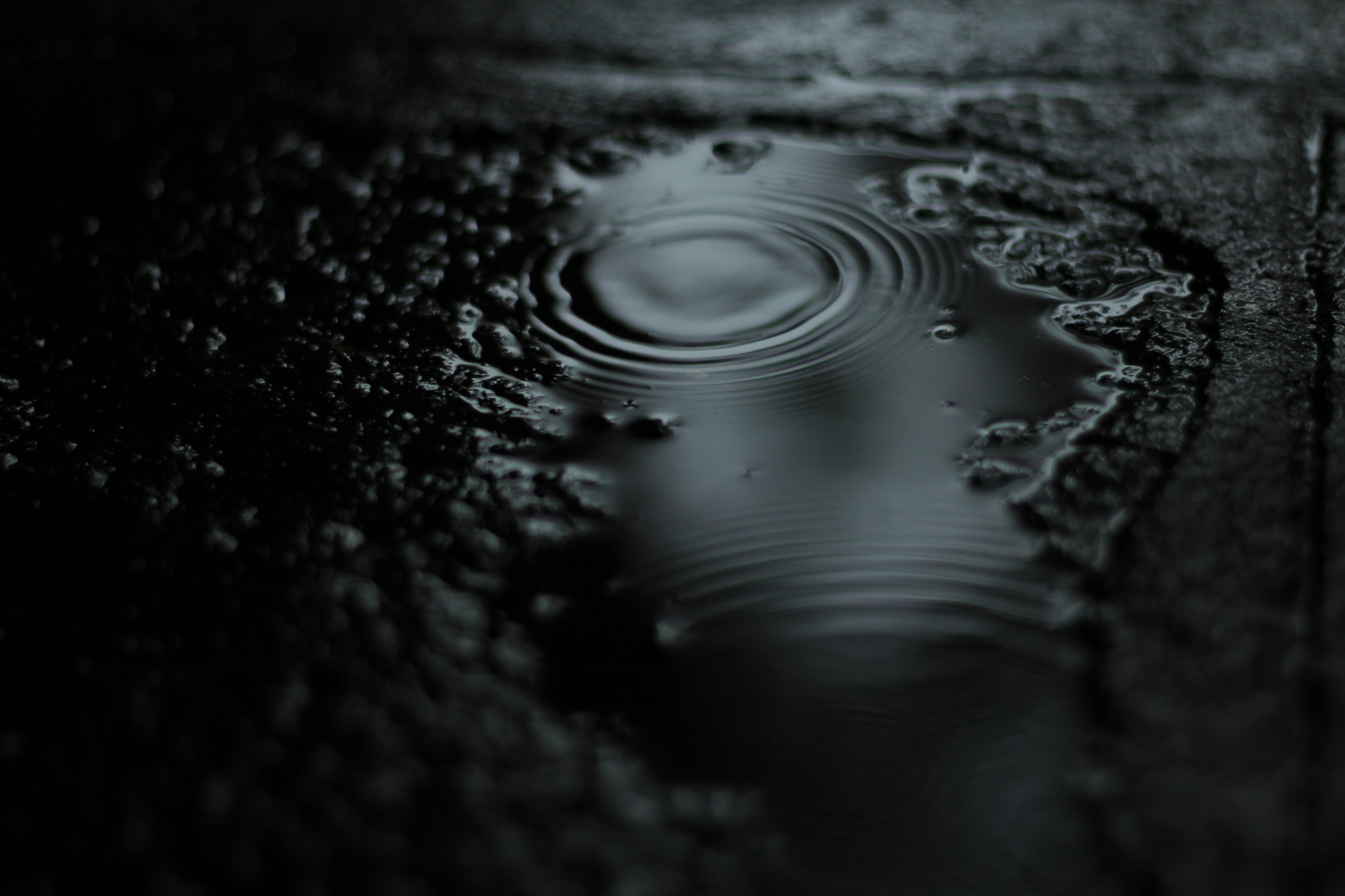 Ripples form in a puddle after rainfall.