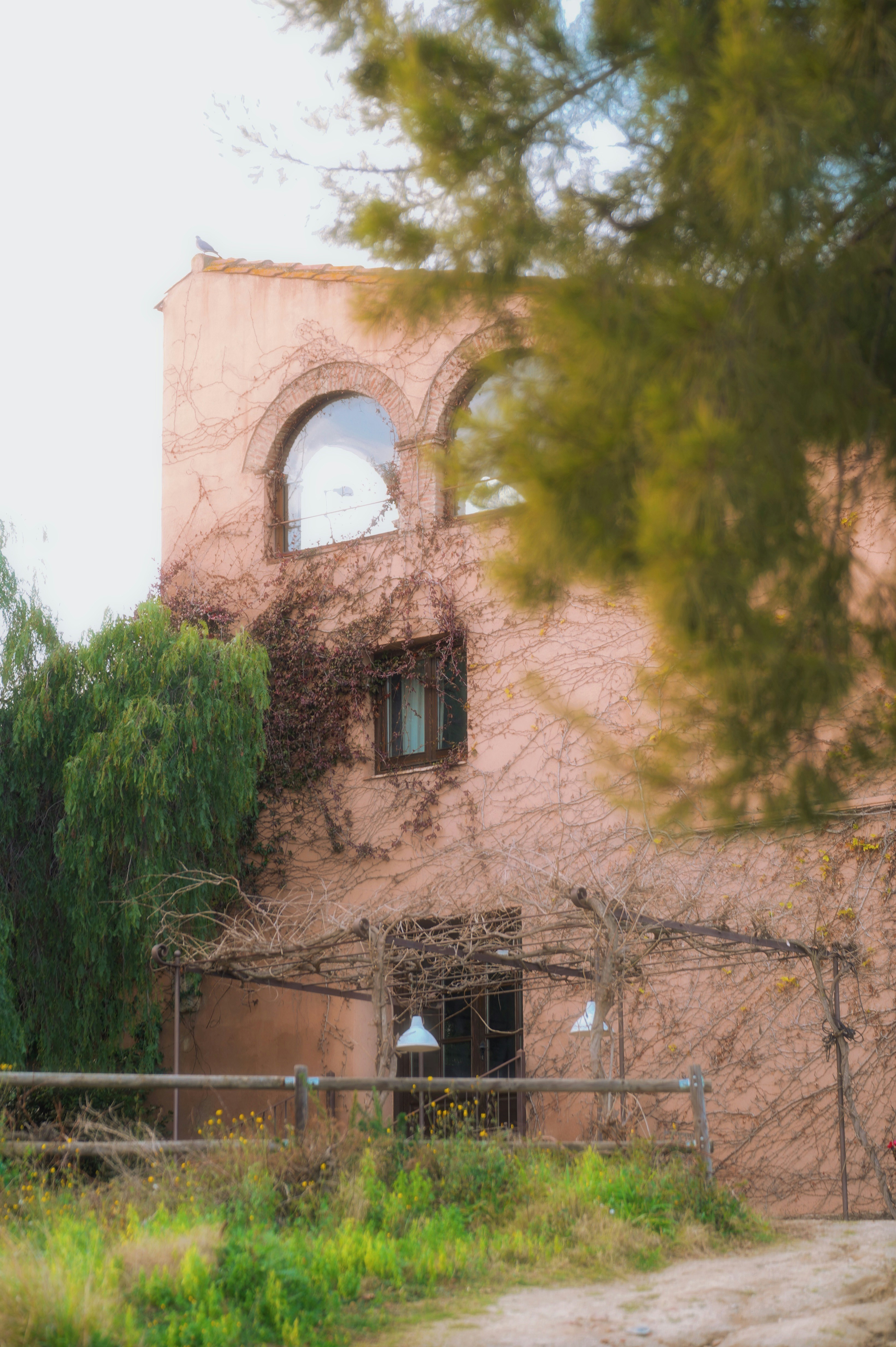 Whispers of Time: A Rustic Retreat