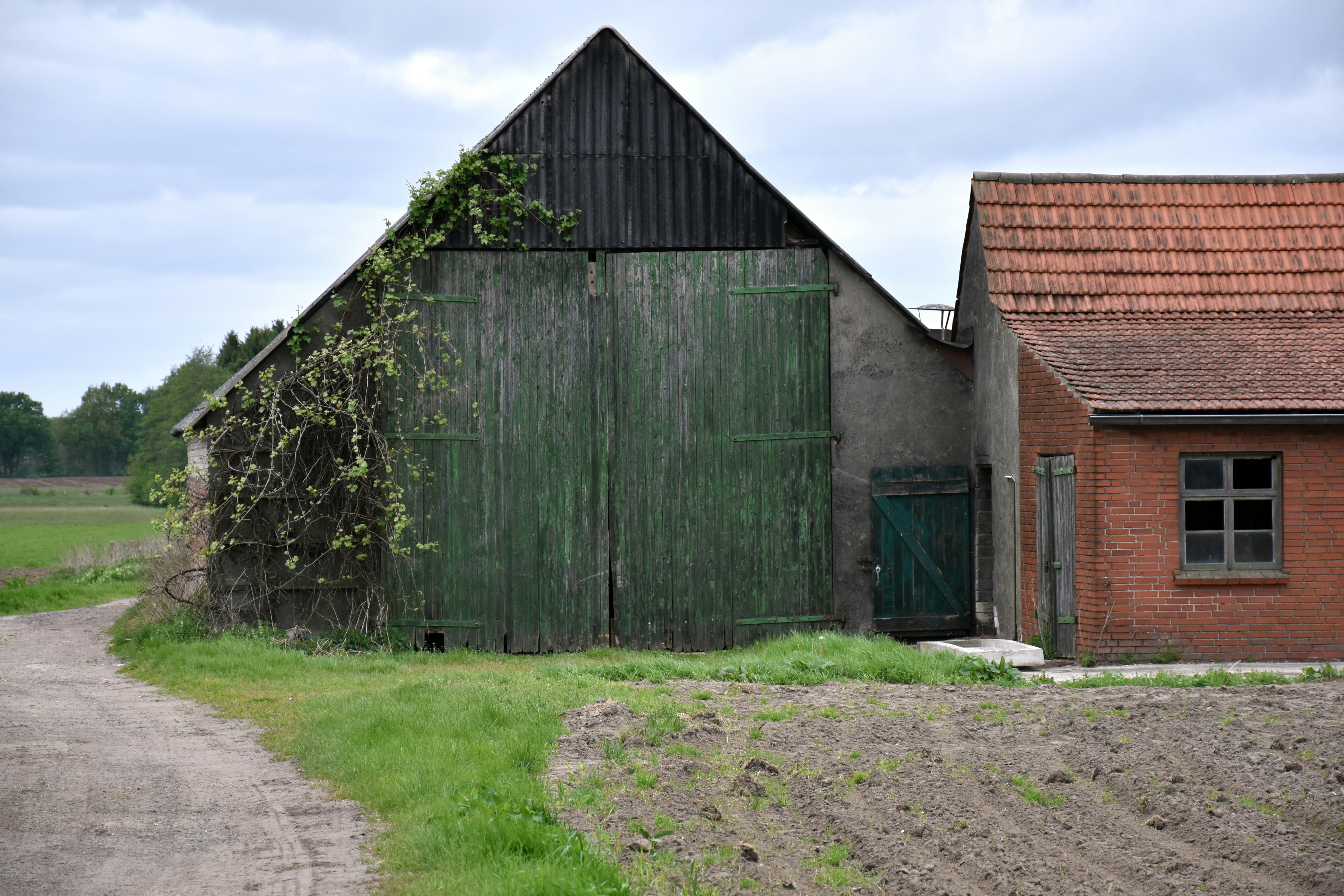 Rustic Barn Line: Green Doors Framed by Aged Brick and Field Path