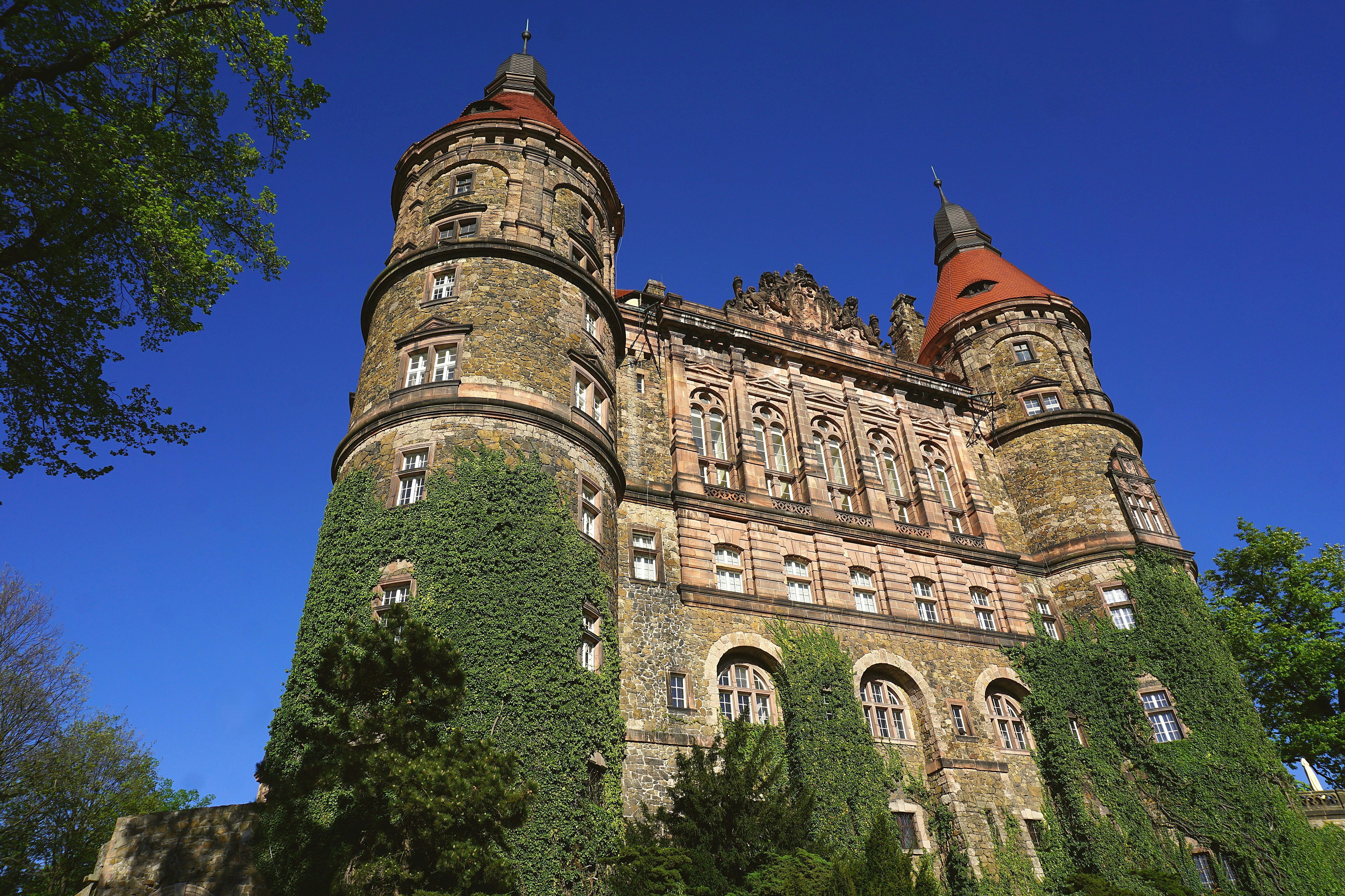 Majestic castle enveloped in lush greenery under a clear blue sky, showcasing intricate architectural details and towering spires.