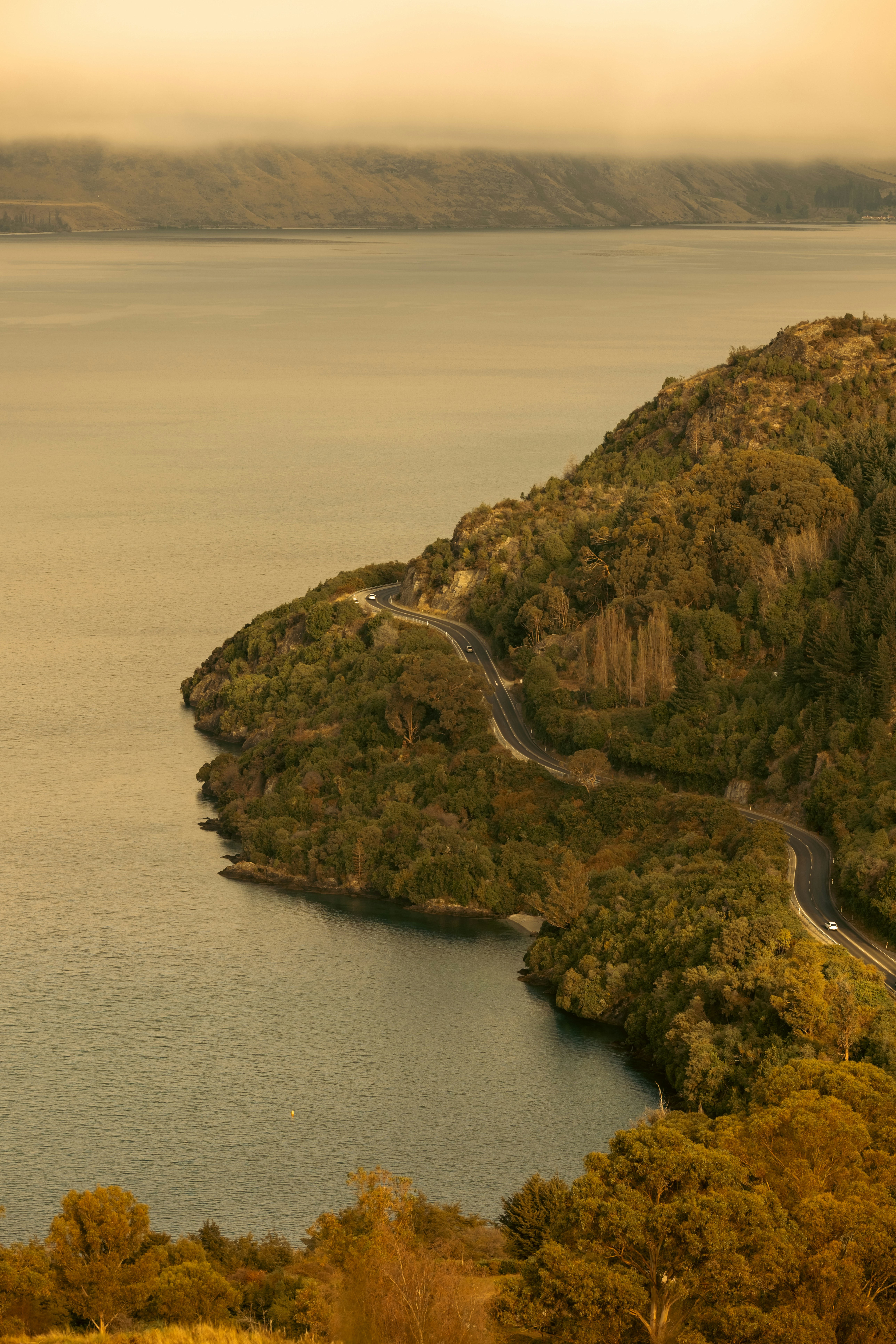Autumn Ribbon along a Coastal Peninsula at Golden Hour