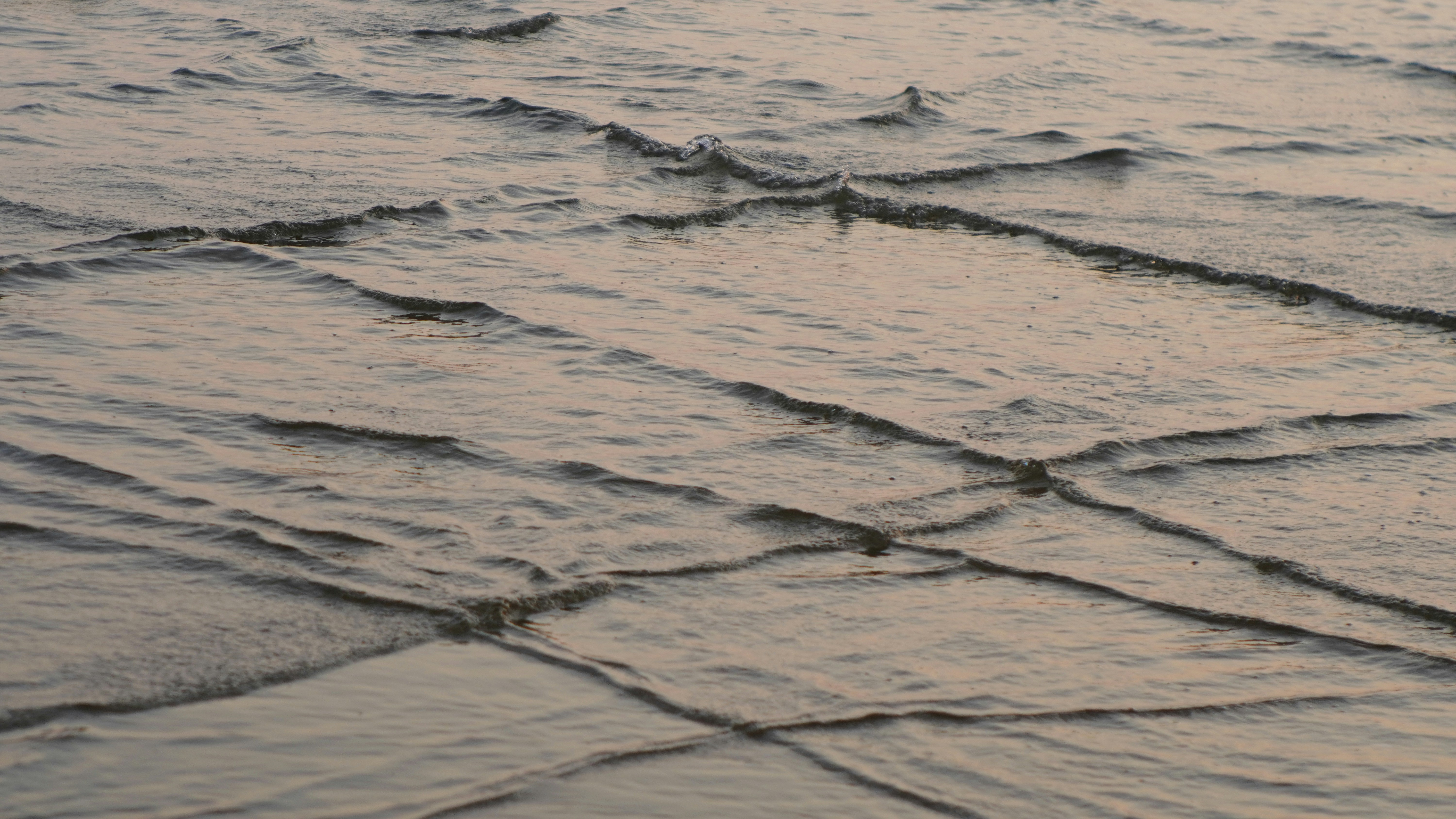 Photo by Odile with Sony Alpha 6400