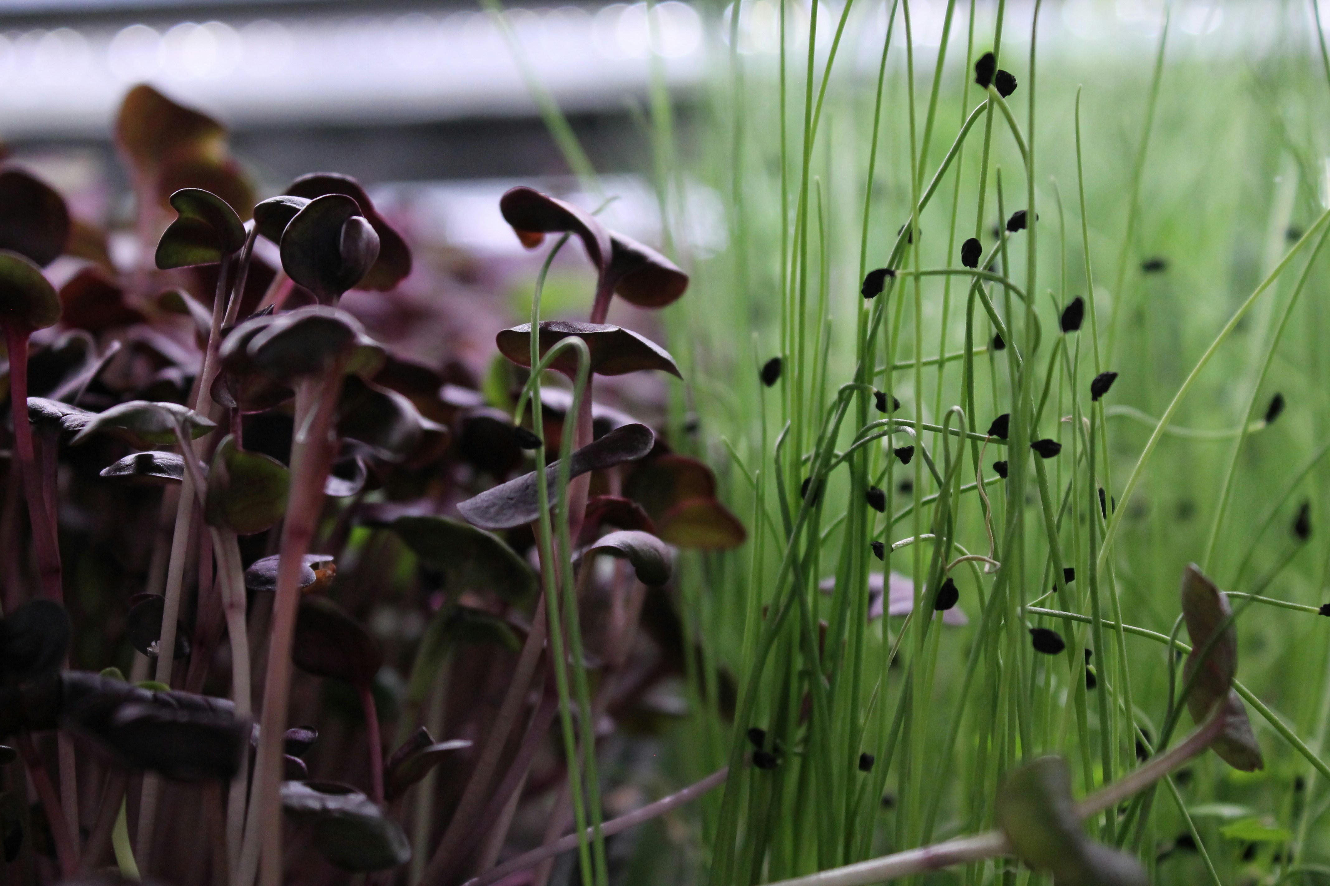 Photo by Bori Balogh with Canon EOS 1100D