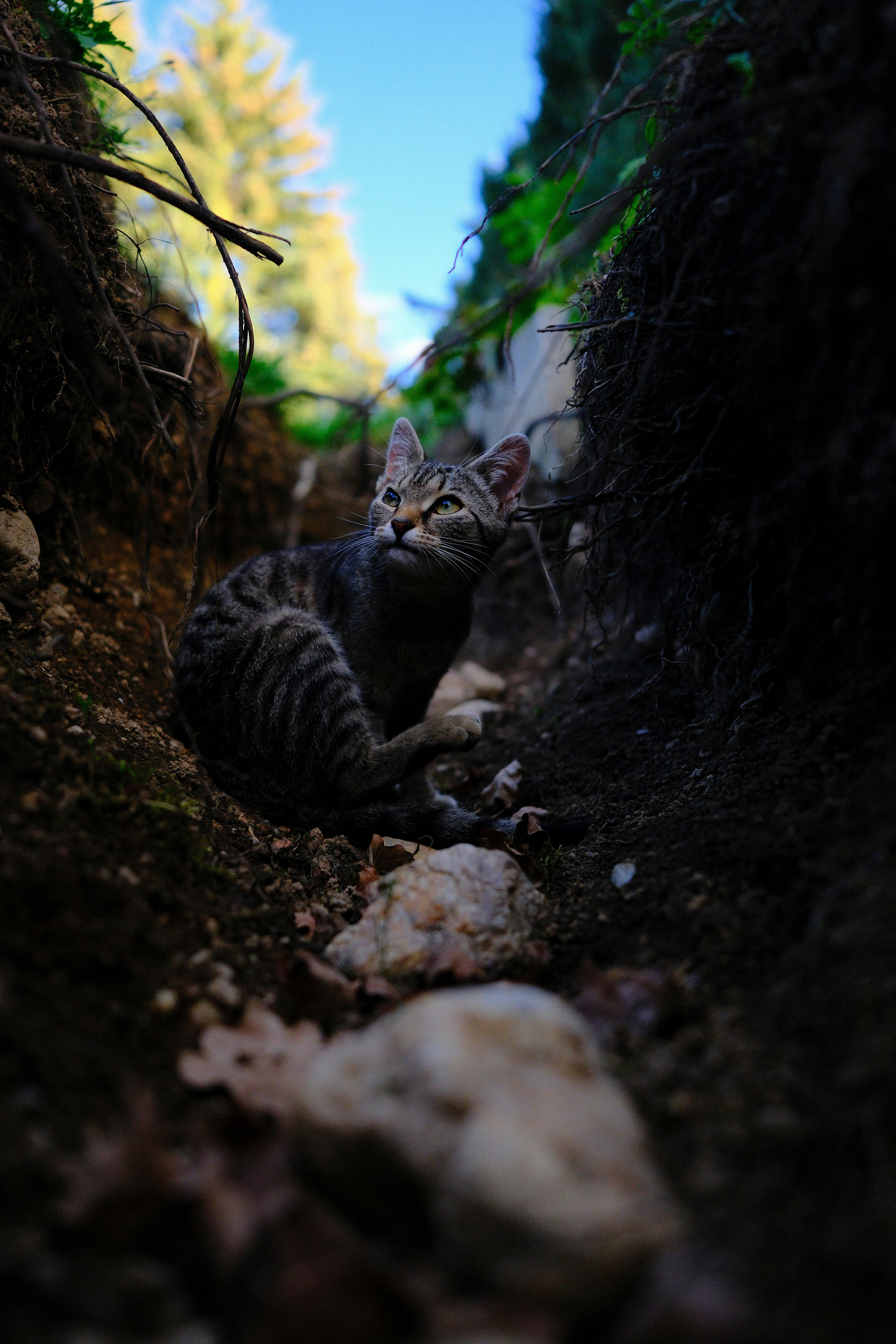 Photo by Chuus Fluus with Fujifilm X-H2