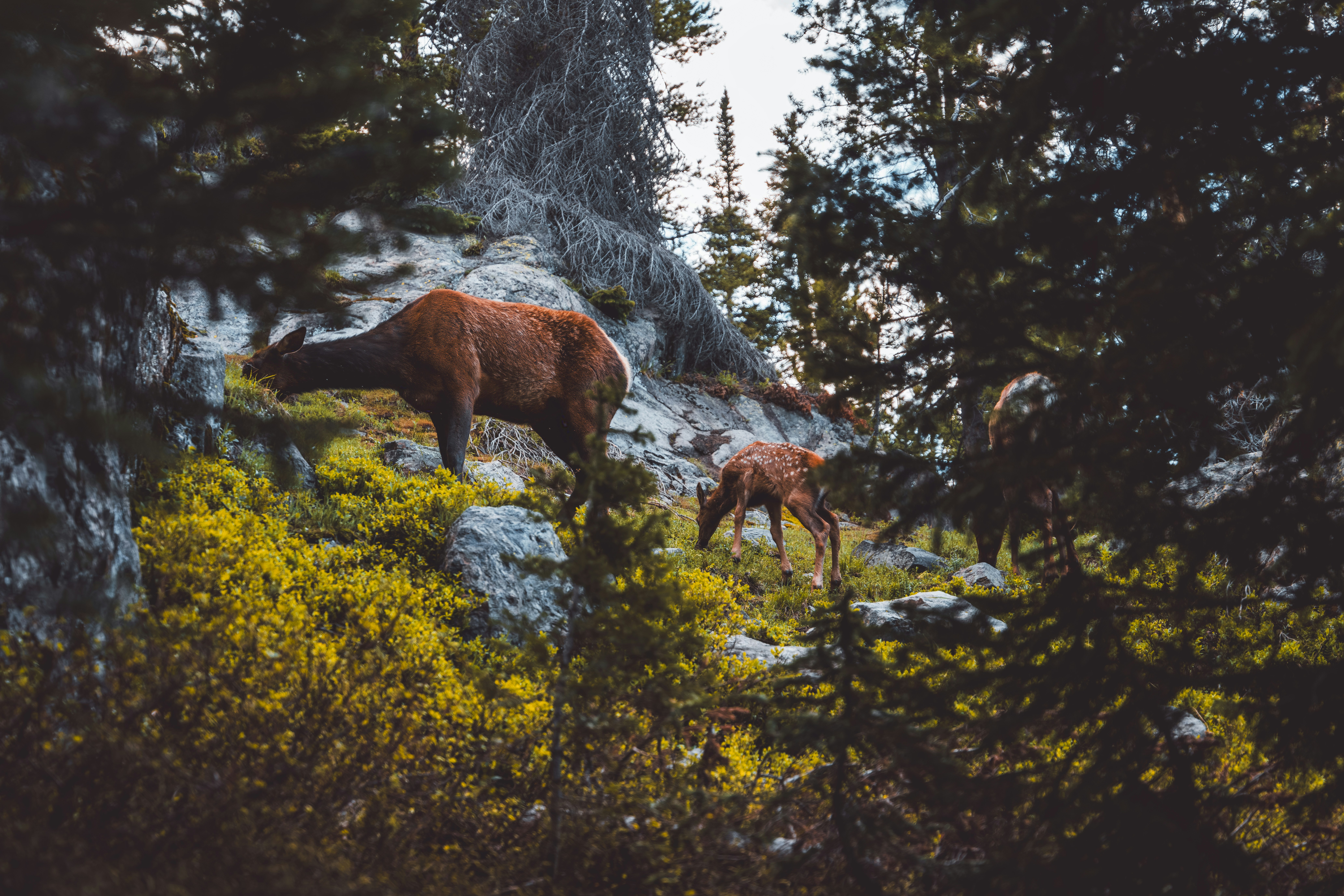 Impactful Pictures | Download Free Images on Unsplash