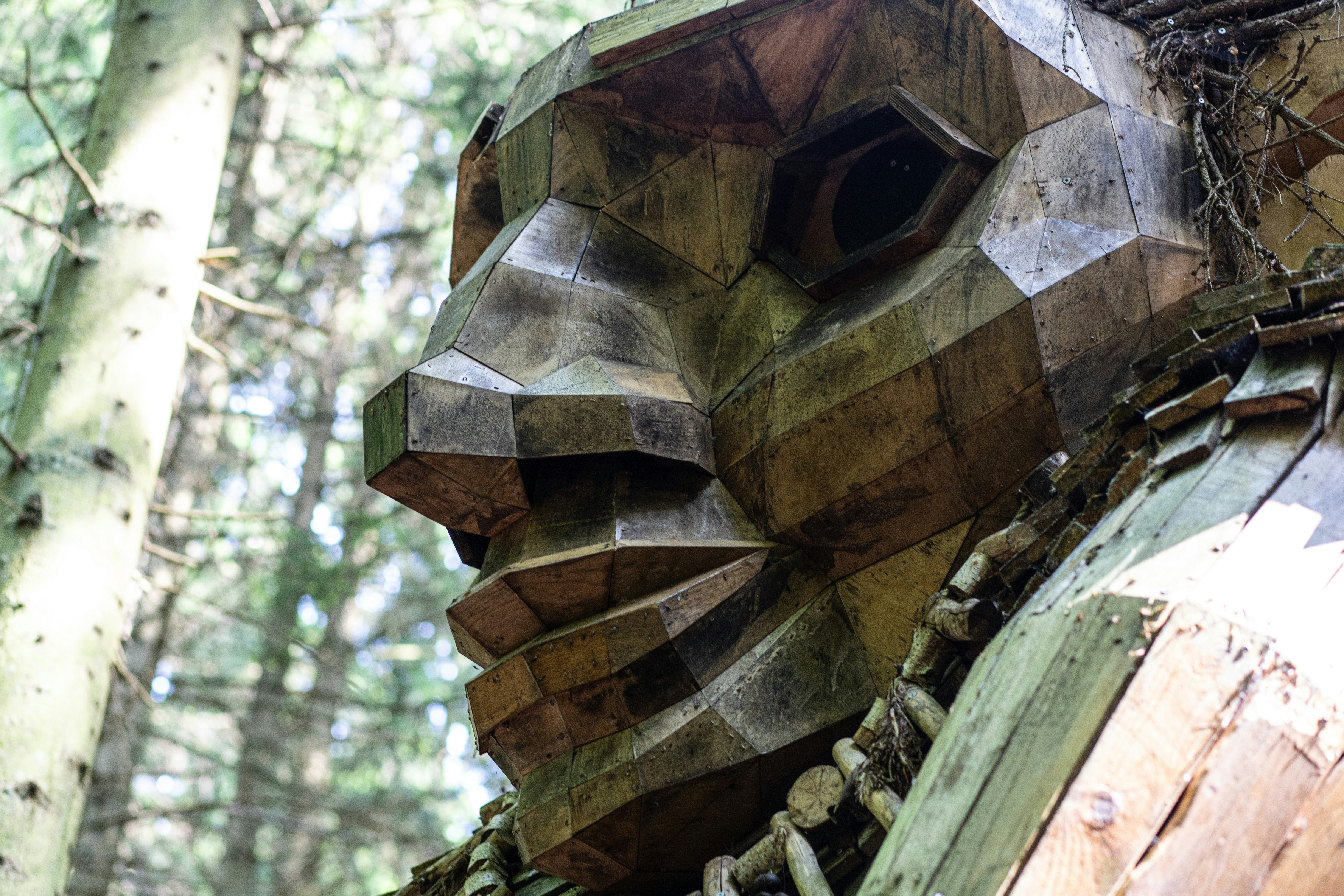 Faceted Forest Sentinel: A Geometric Wood Mask Emerges from the Pines