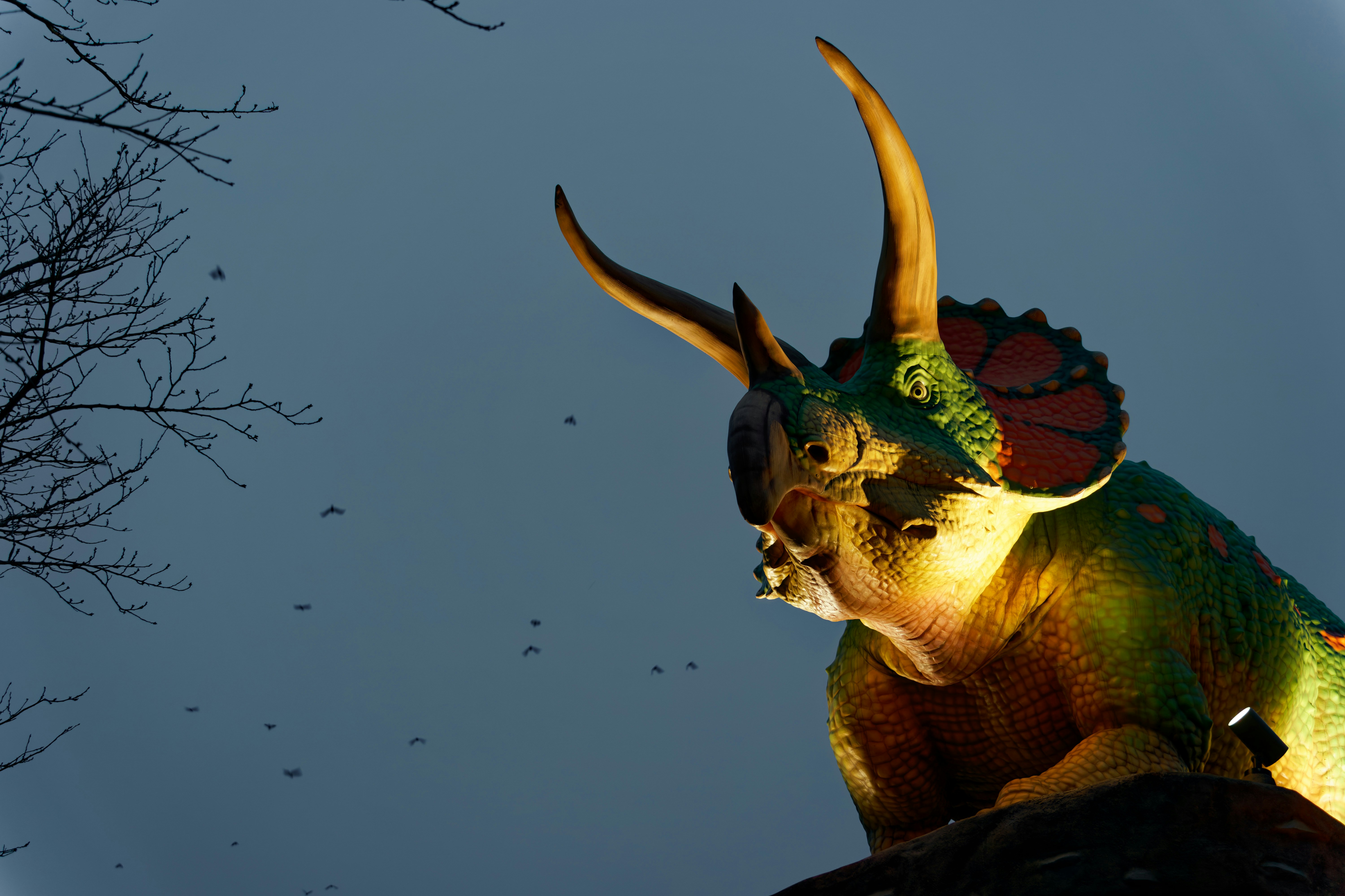 Dragon of the Rock: A Solar-Illuminated Guardian