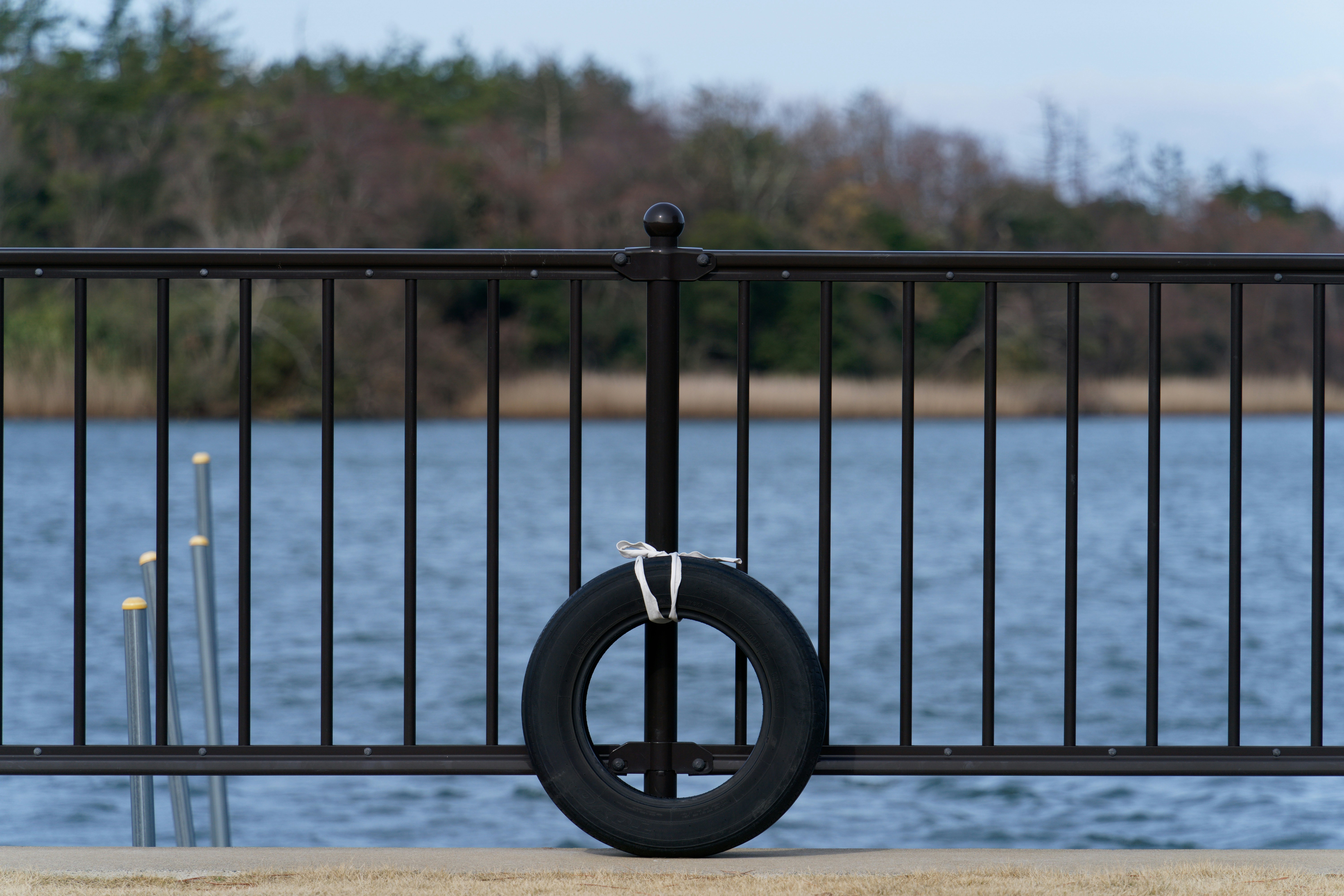 Harbor Pendant: A Lone Life Ring on the Fence
