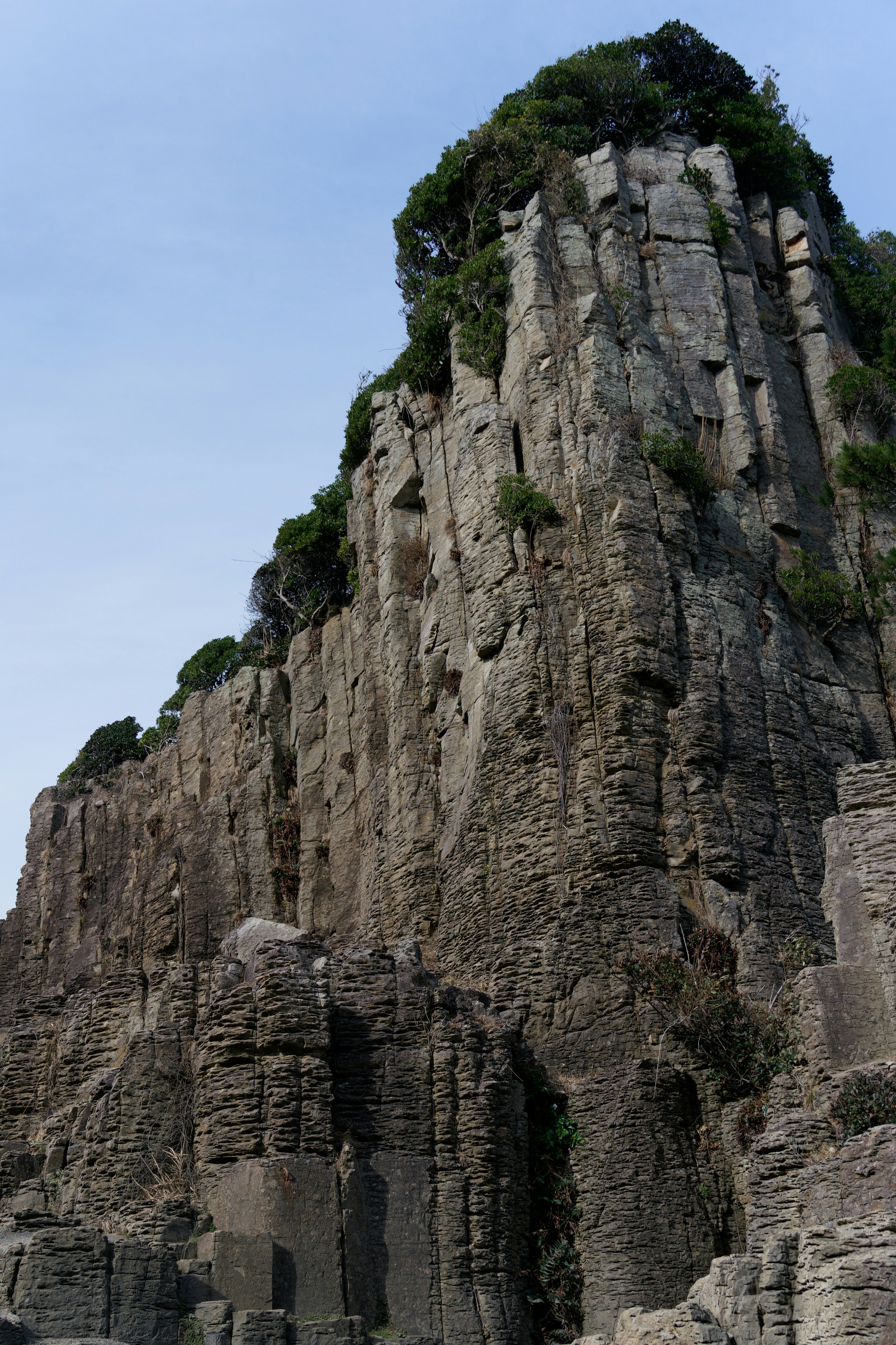 Photo by Da-shika with Sony Alpha 9