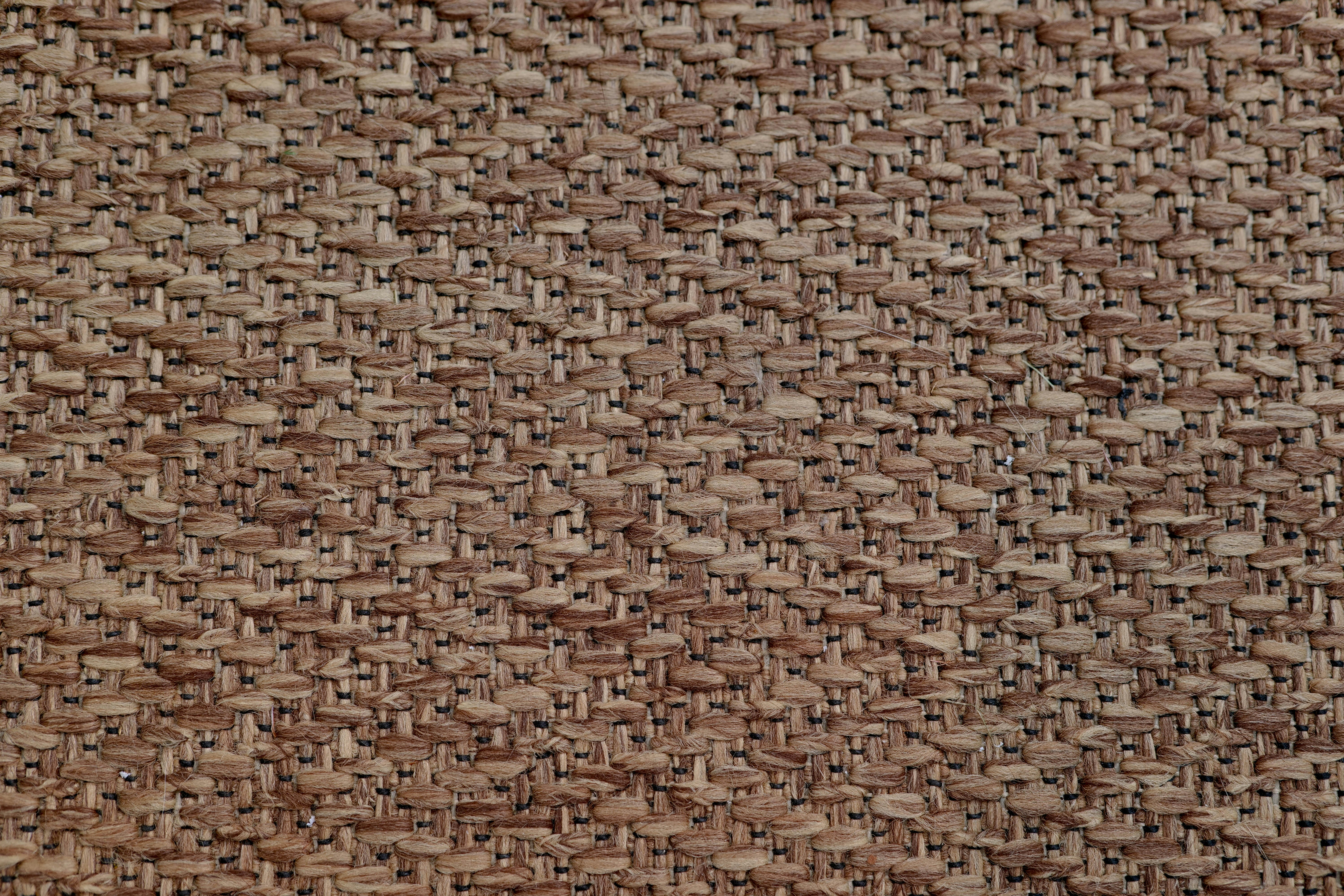 Sample photo from Panasonic Lumix S5D