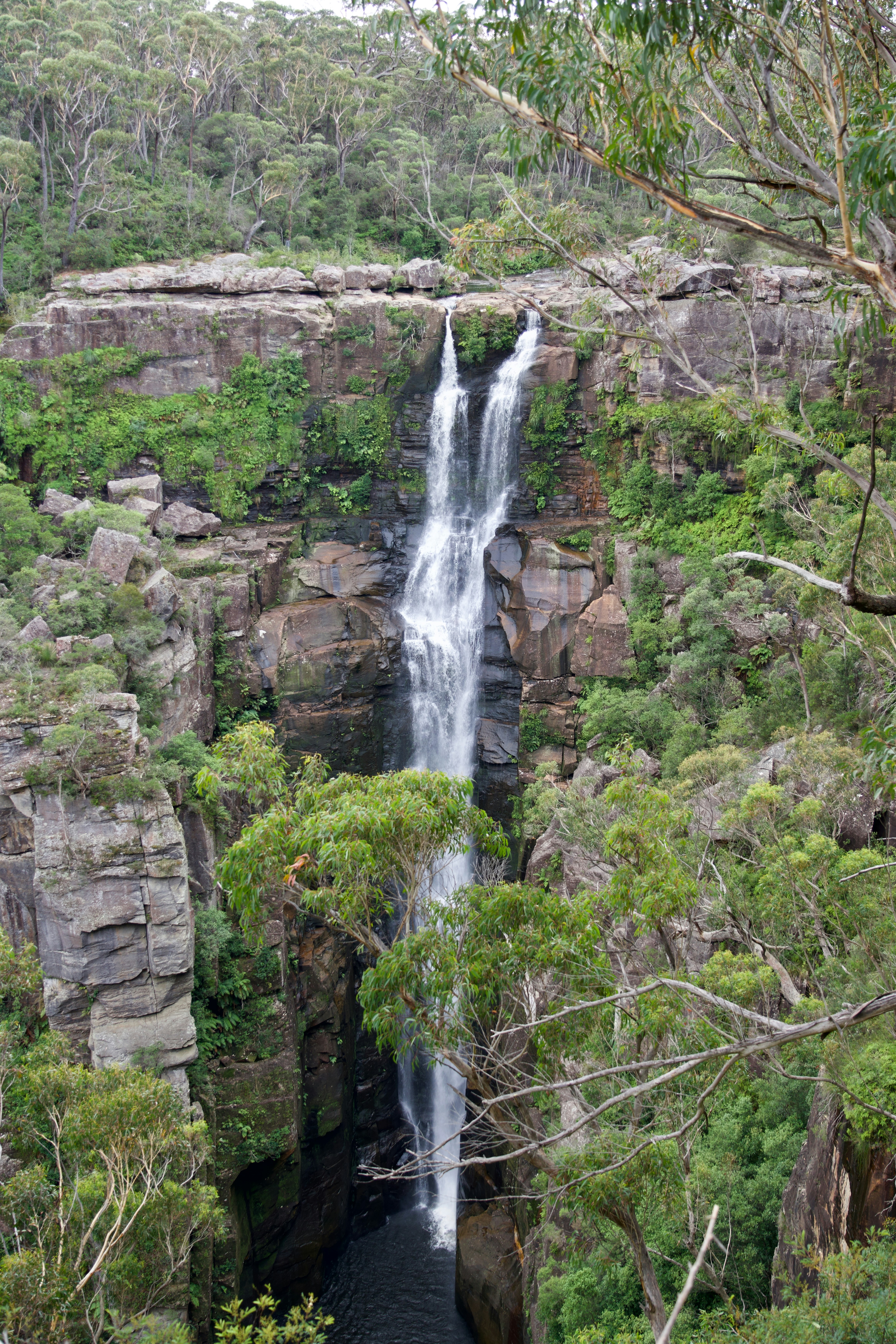 Tall waterfall plunging down a sandstone cliff surrounded by dense green forest in Morton National Park, New South Wales, Australia