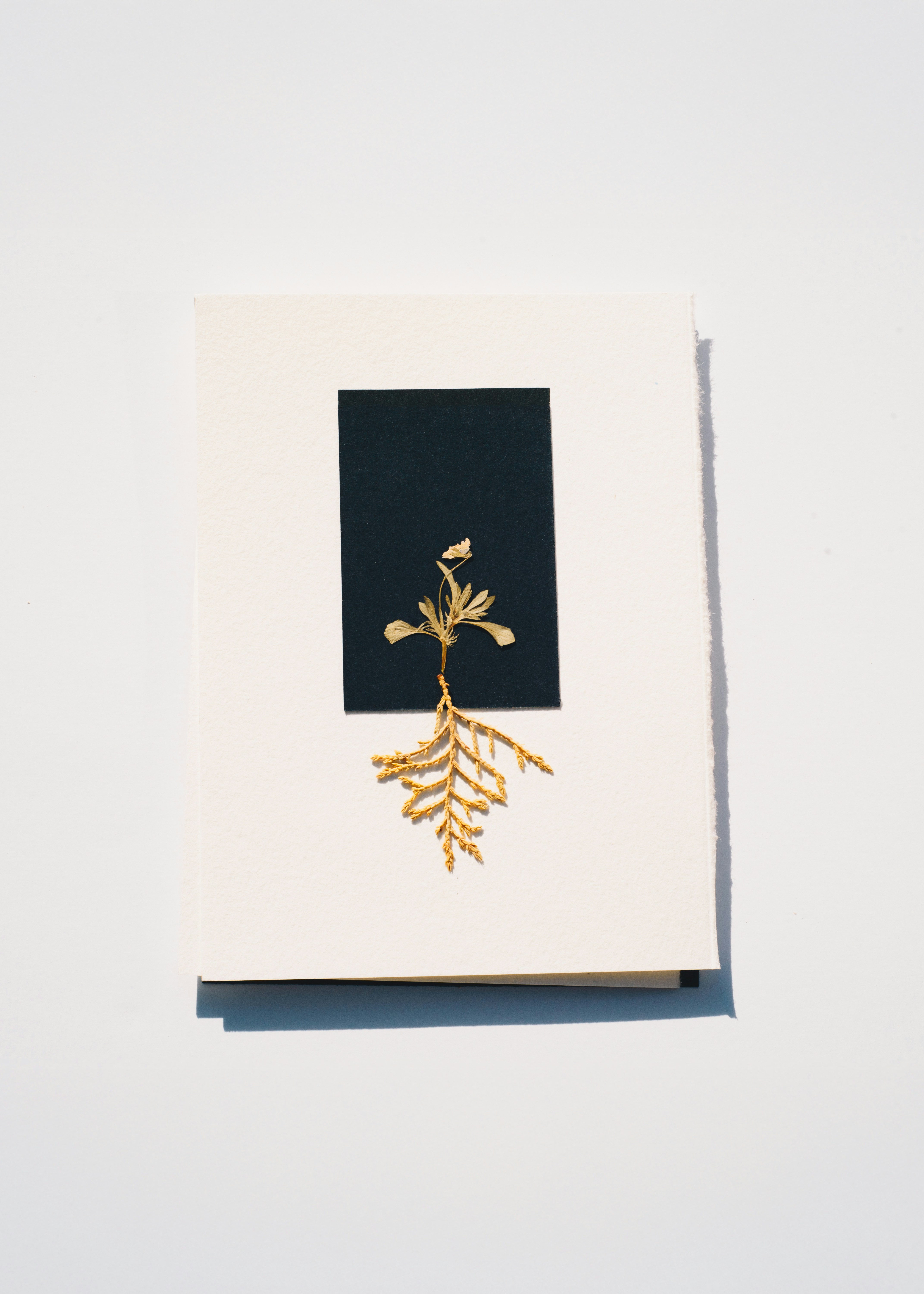 Golden Flora: A Minimalist Tribute