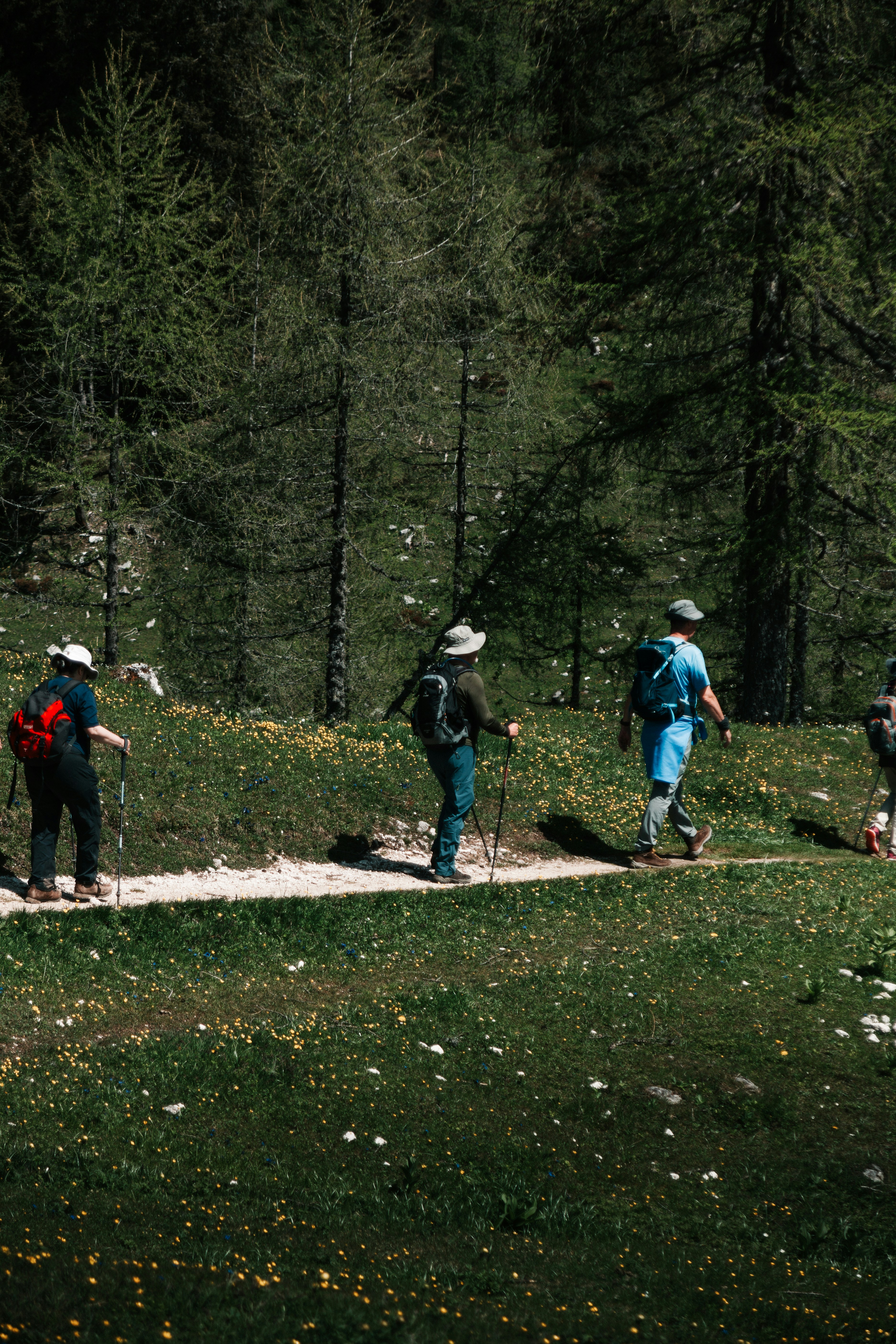 Group of hikers navigating a scenic trail surrounded by lush greenery and wildflowers.