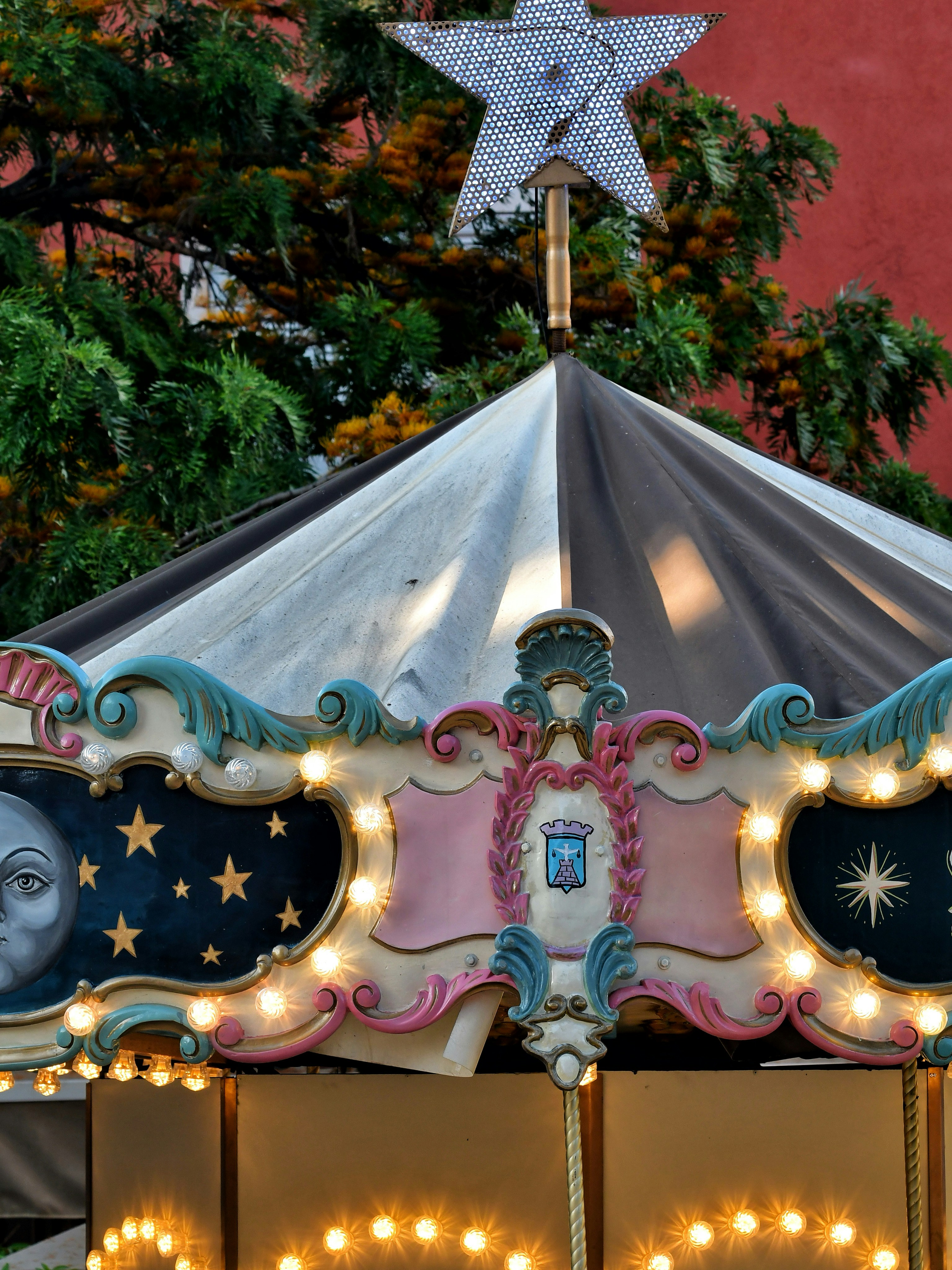 Whimsical Carousel Dreams
