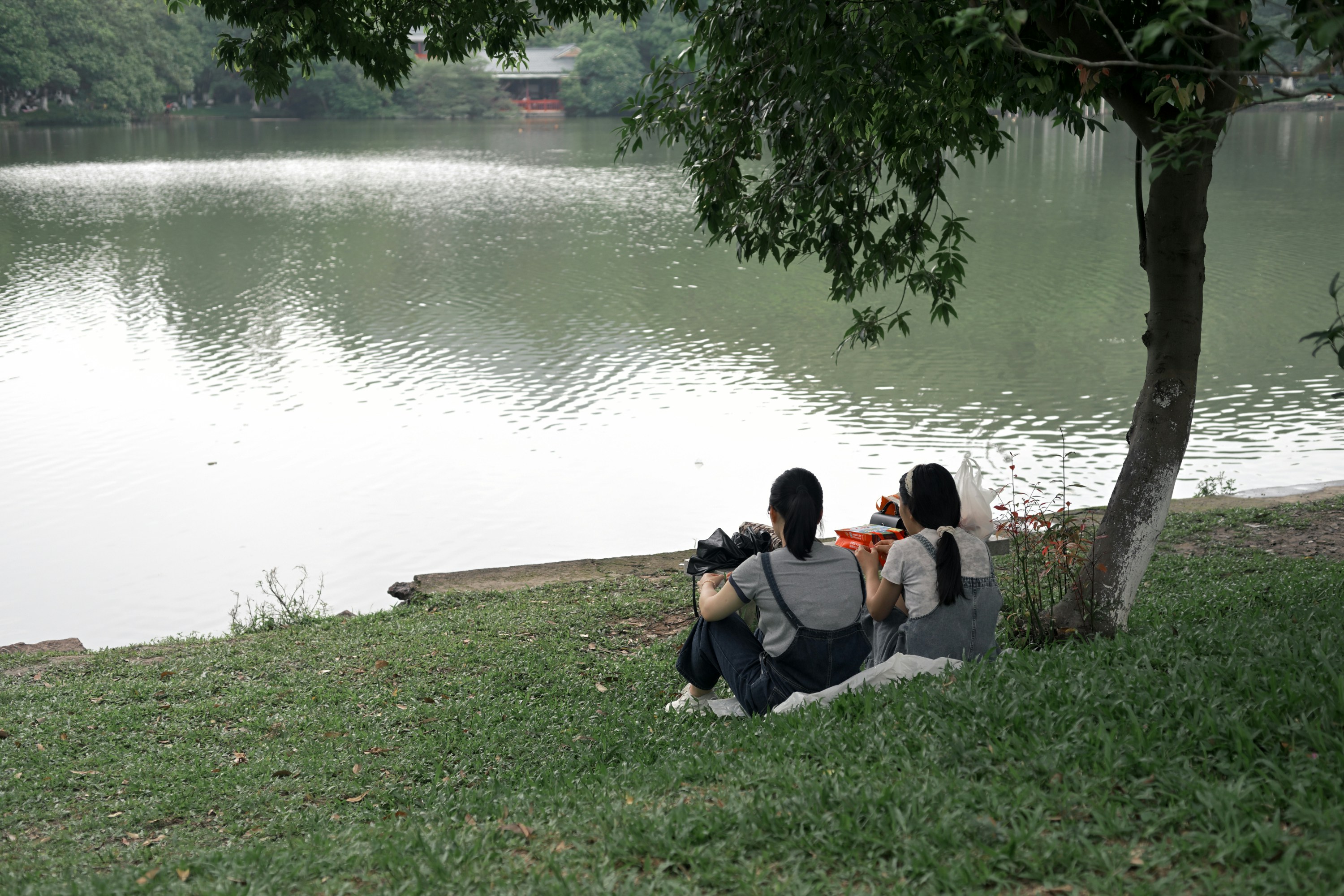 Two people enjoy a calm day by the lake. photo – Free Forest Image on ...