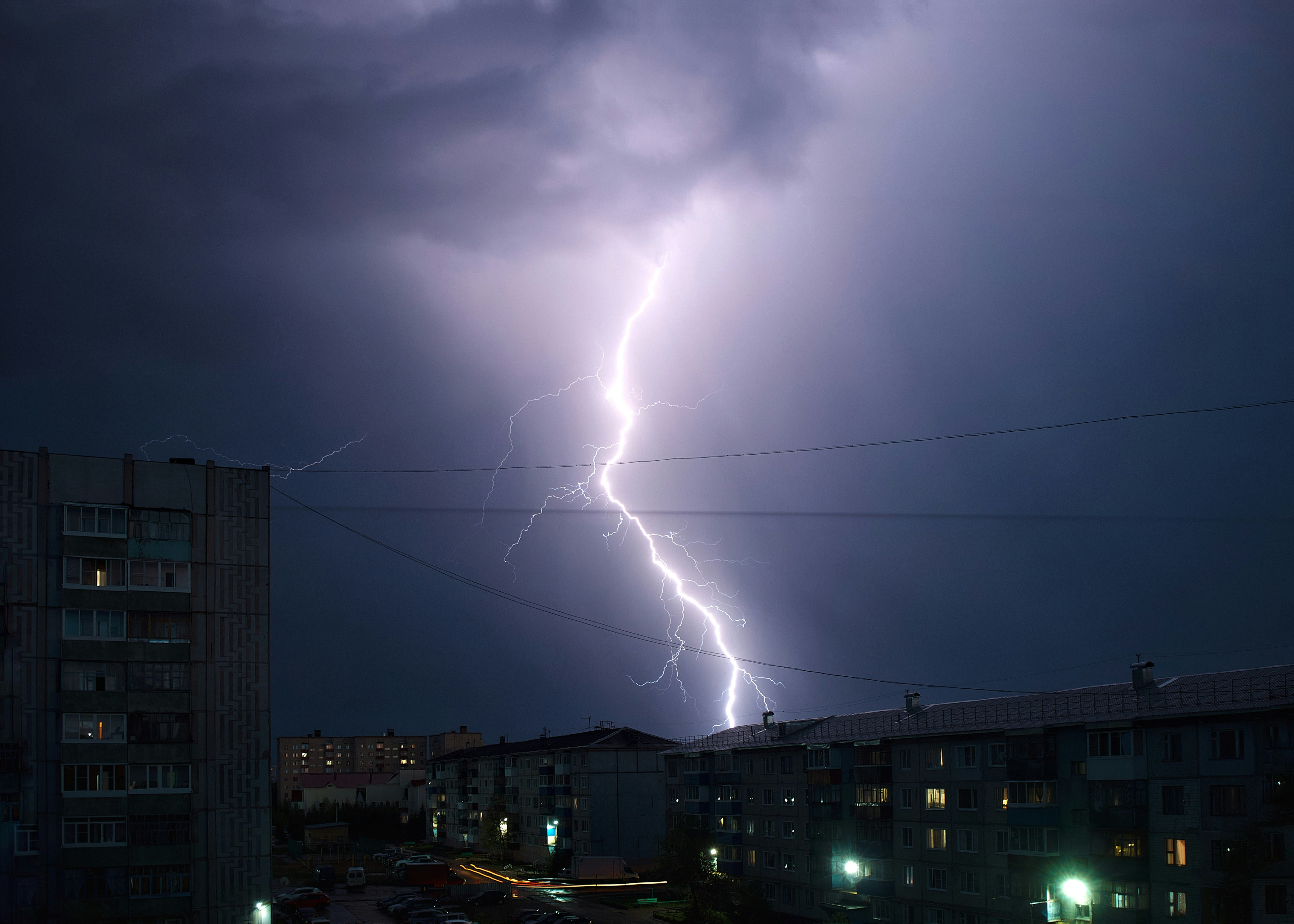 Electric Veins of the Storm