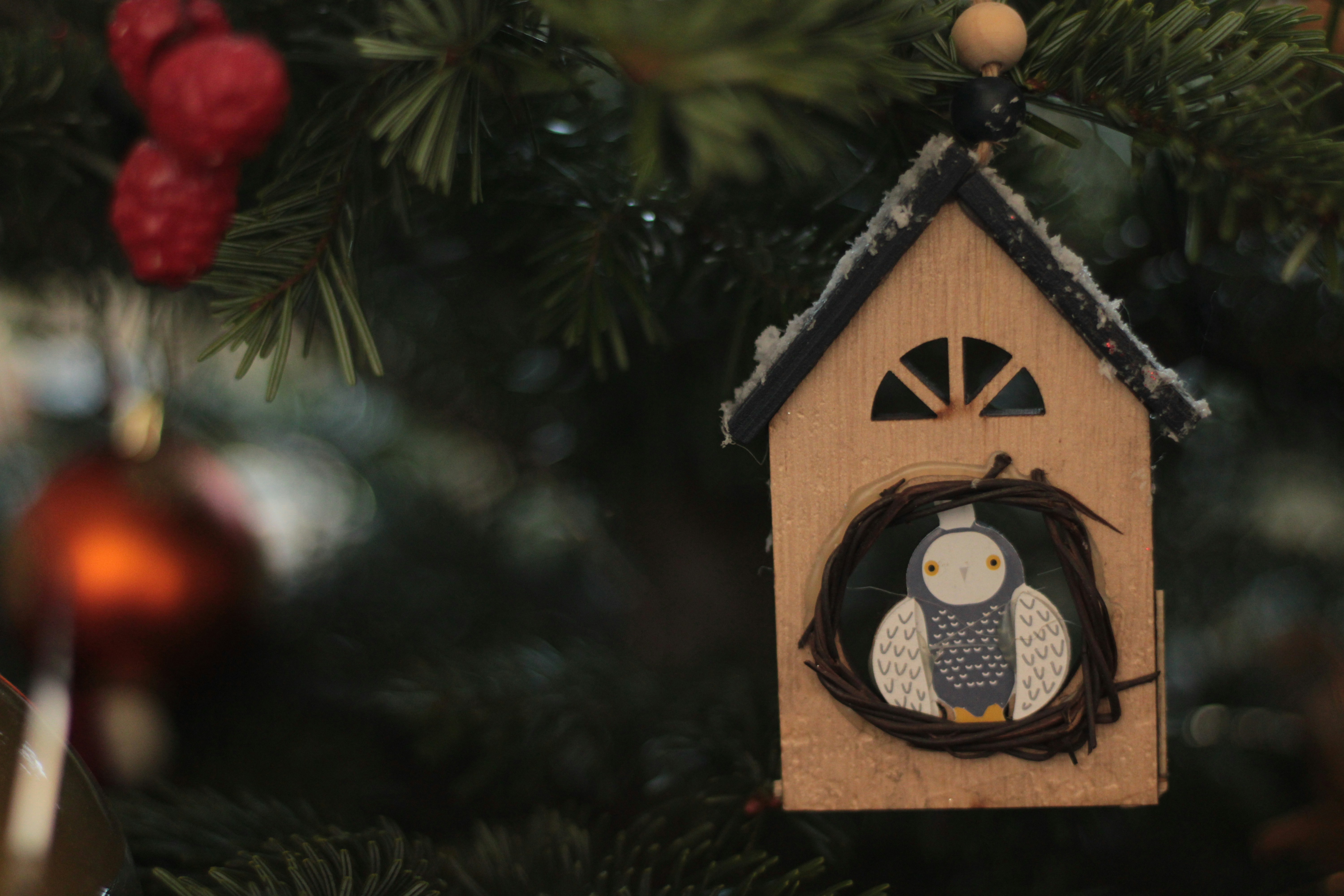 Hanging Owl in a Cozy Christmas Nest
