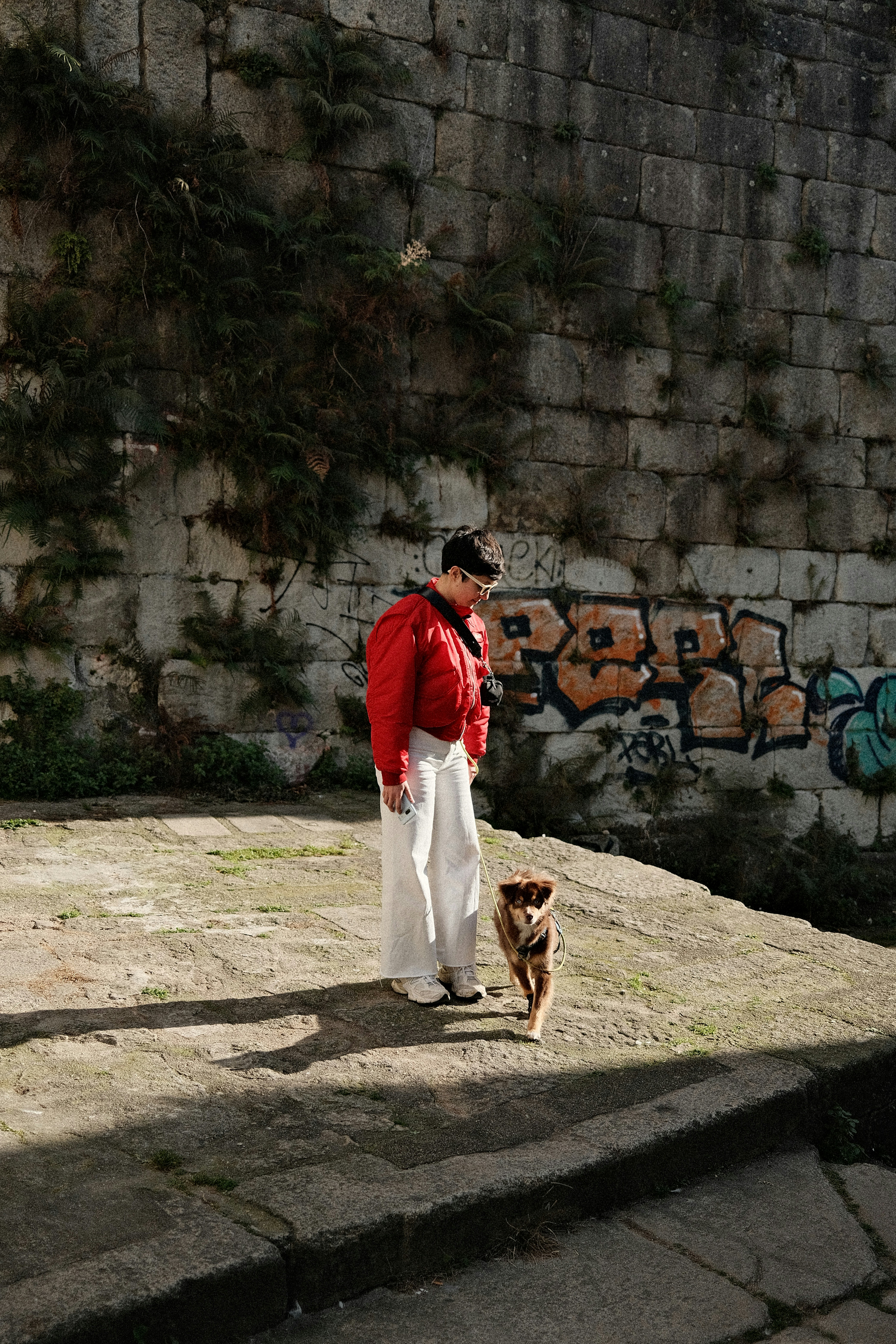 A person in a red jacket stands on a stone platform with their dog, framed by a textured wall adorned with graffiti. Sunlight casts long shadows, enhancing the urban atmosphere.