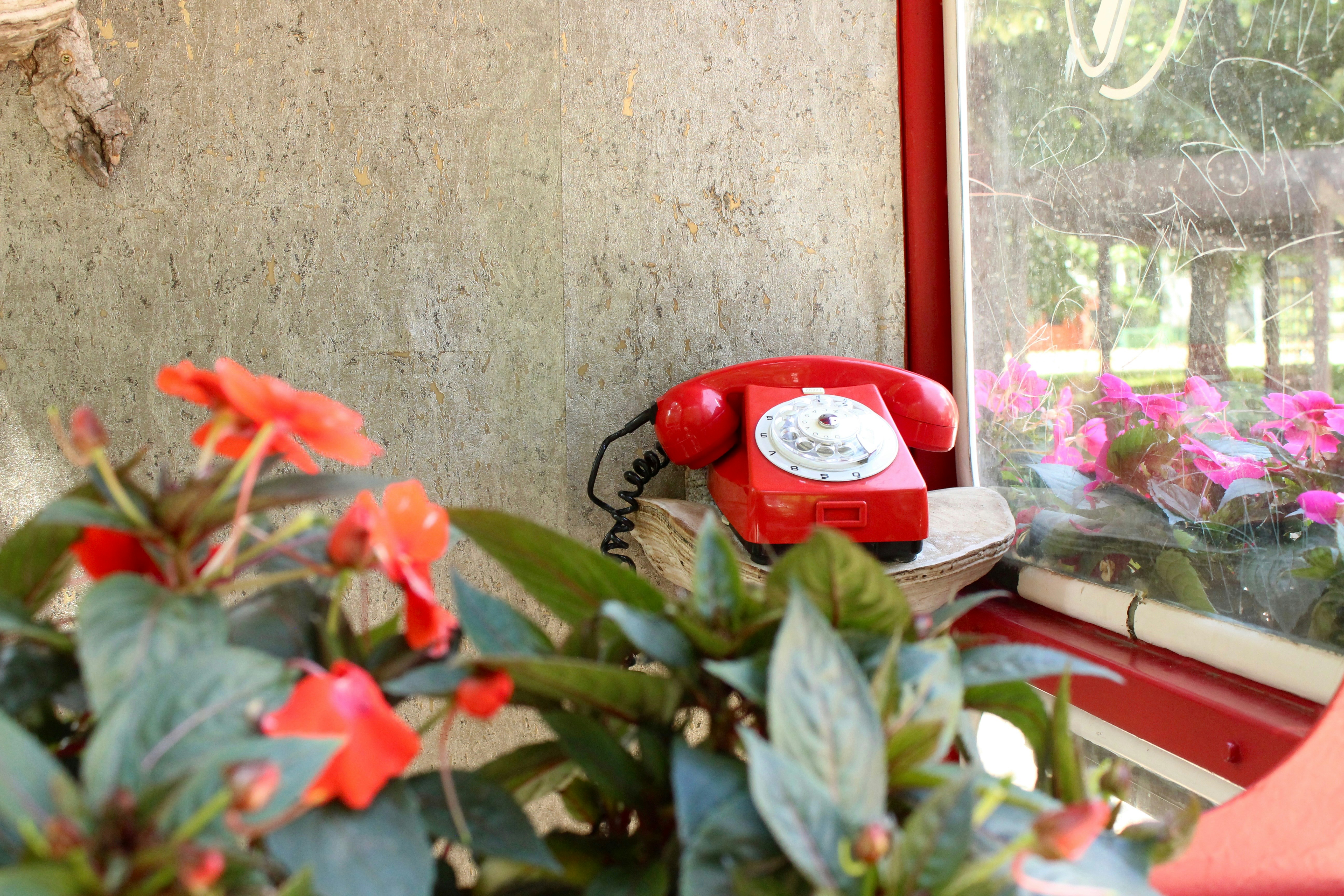 Quiet Red Rotary Dial by the Window Sill