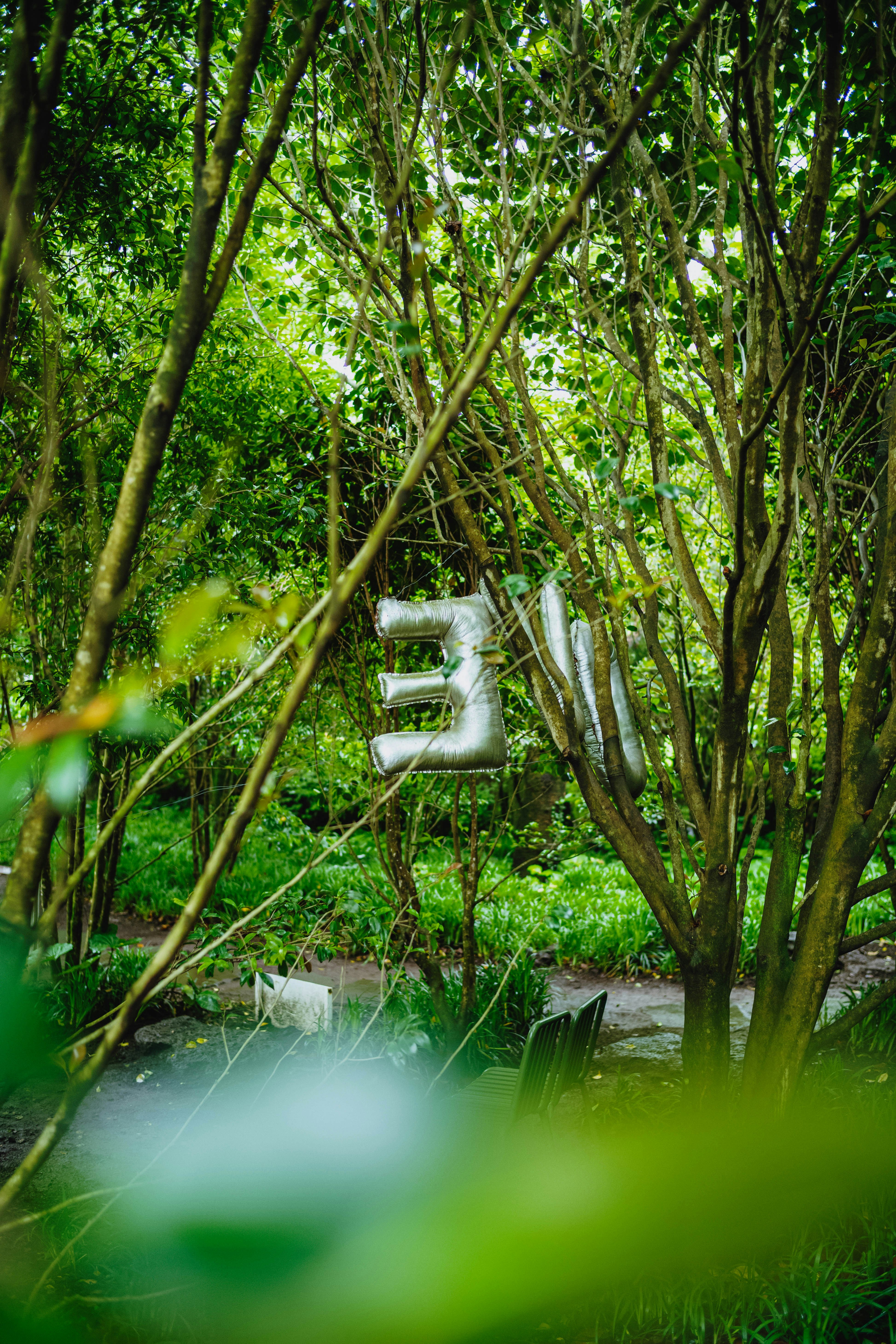 Three in the Thicket: a silver numeral peeks through a garden canopy
