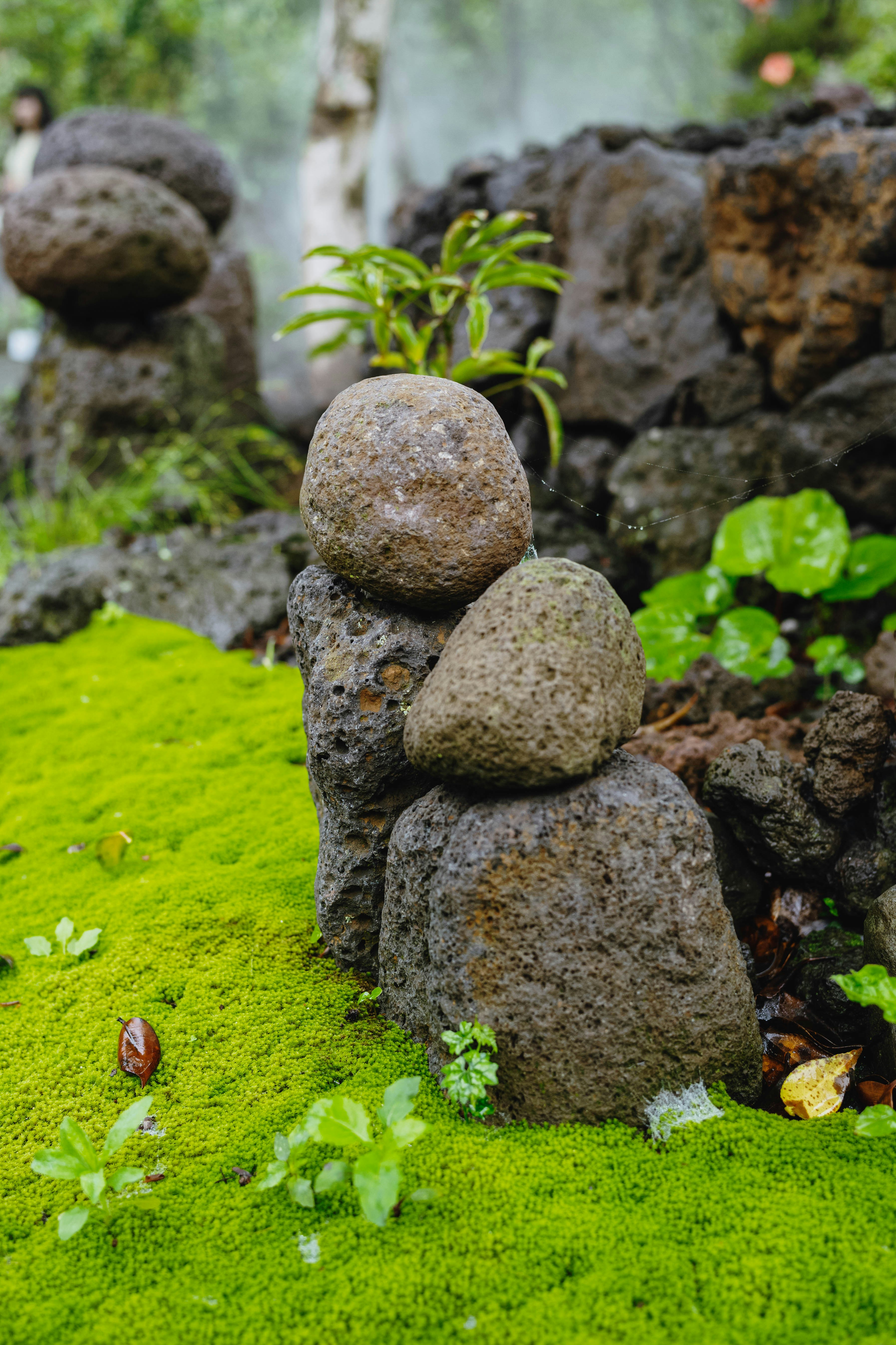 Rocks are stacked in a green, mossy environment. photo – Free Image on ...