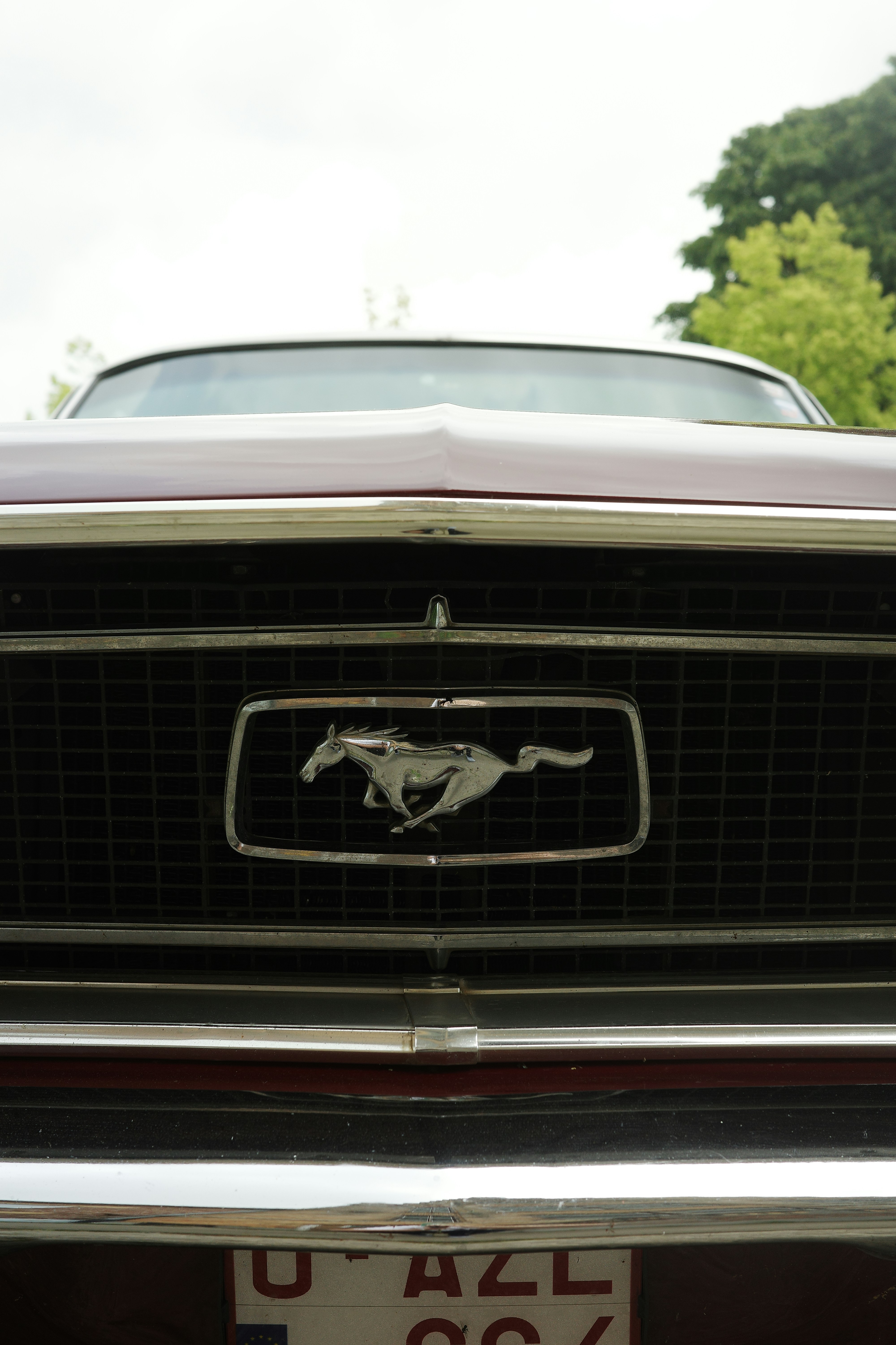 Chrome Crest: Close-Up of the Mustang Emblem in the Grille