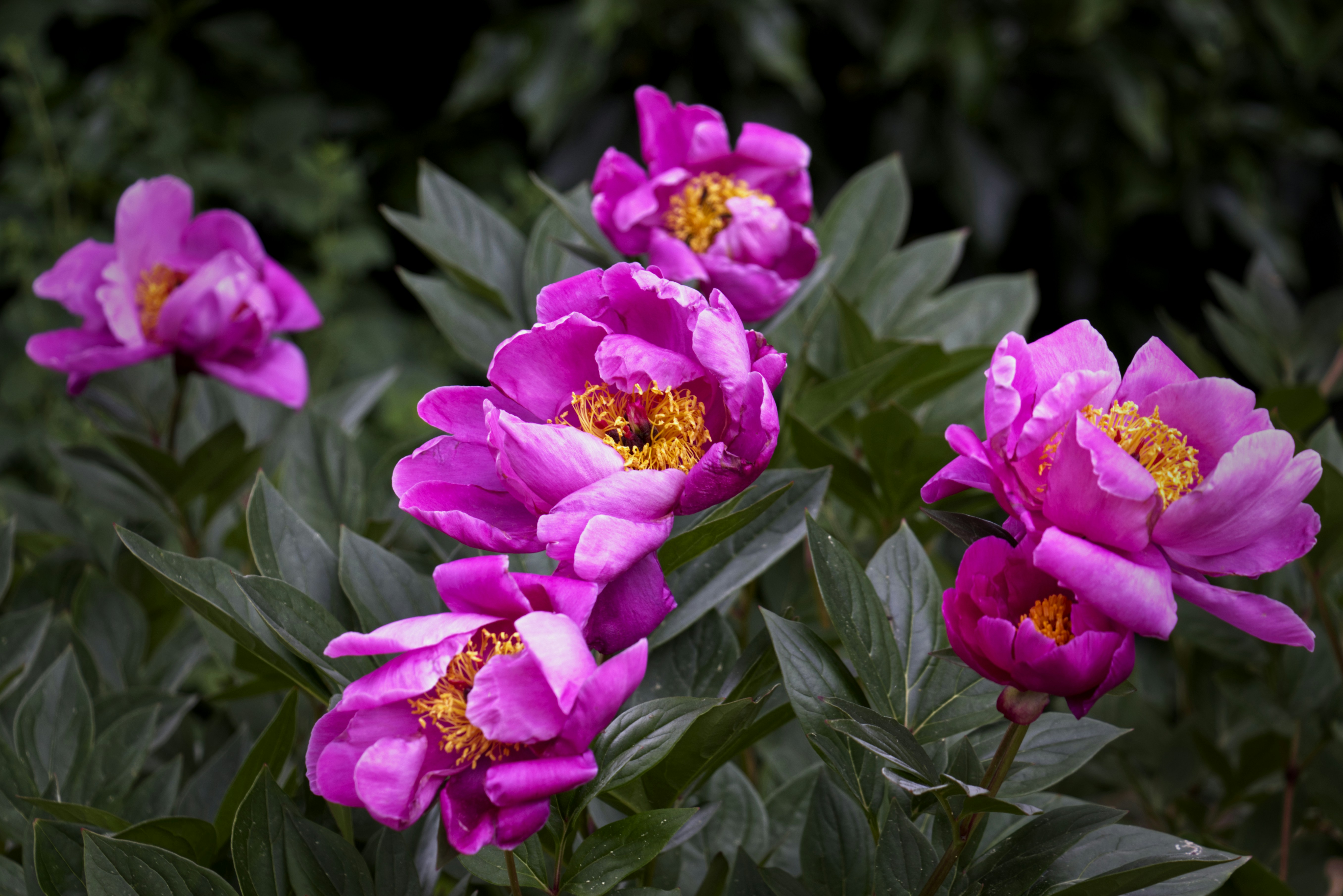 Nick Hardman (@monkeytico) | Komunitas Foto Unsplash