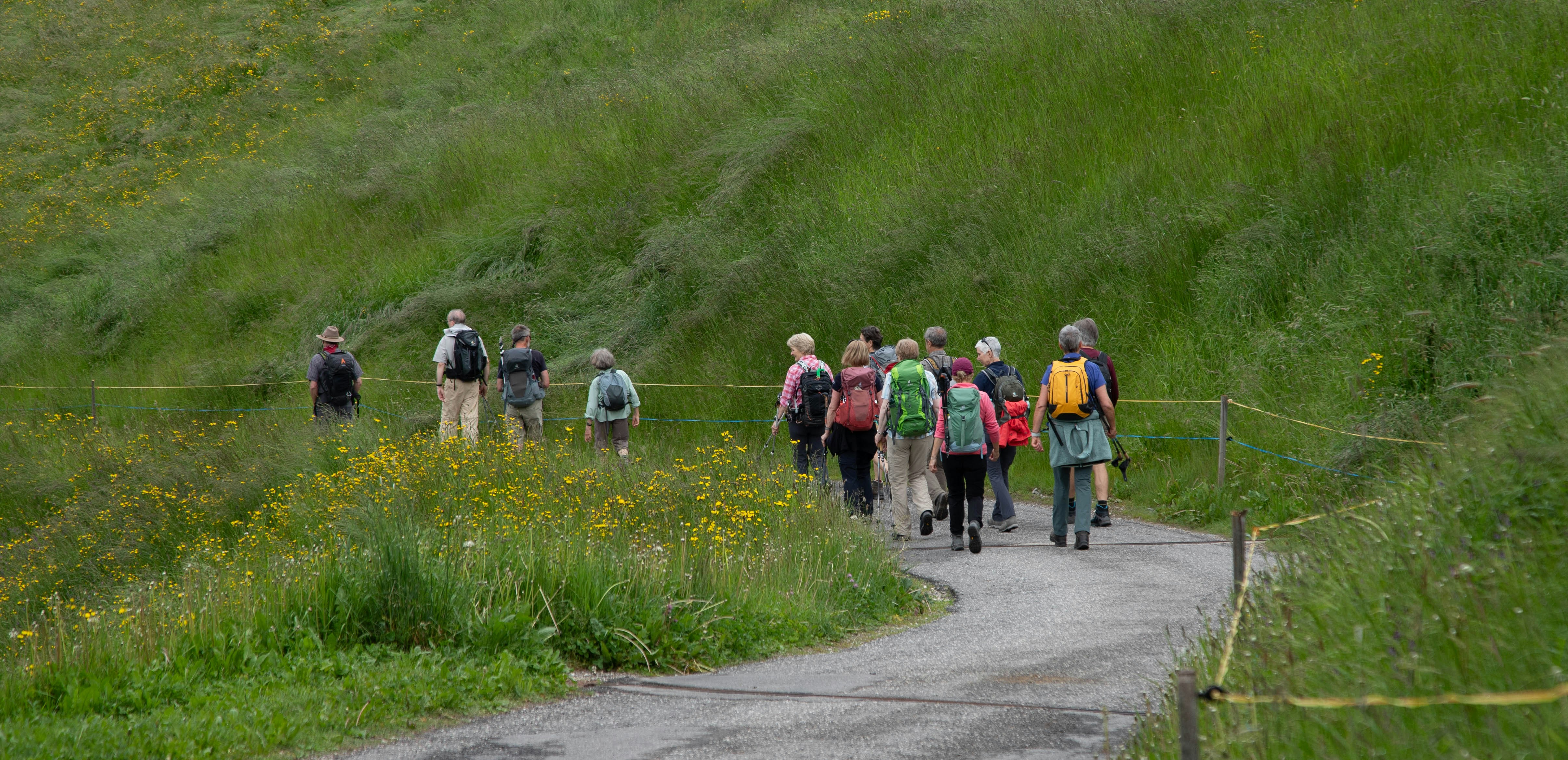 People hike on a winding path through a green field. photo – Free Human ...