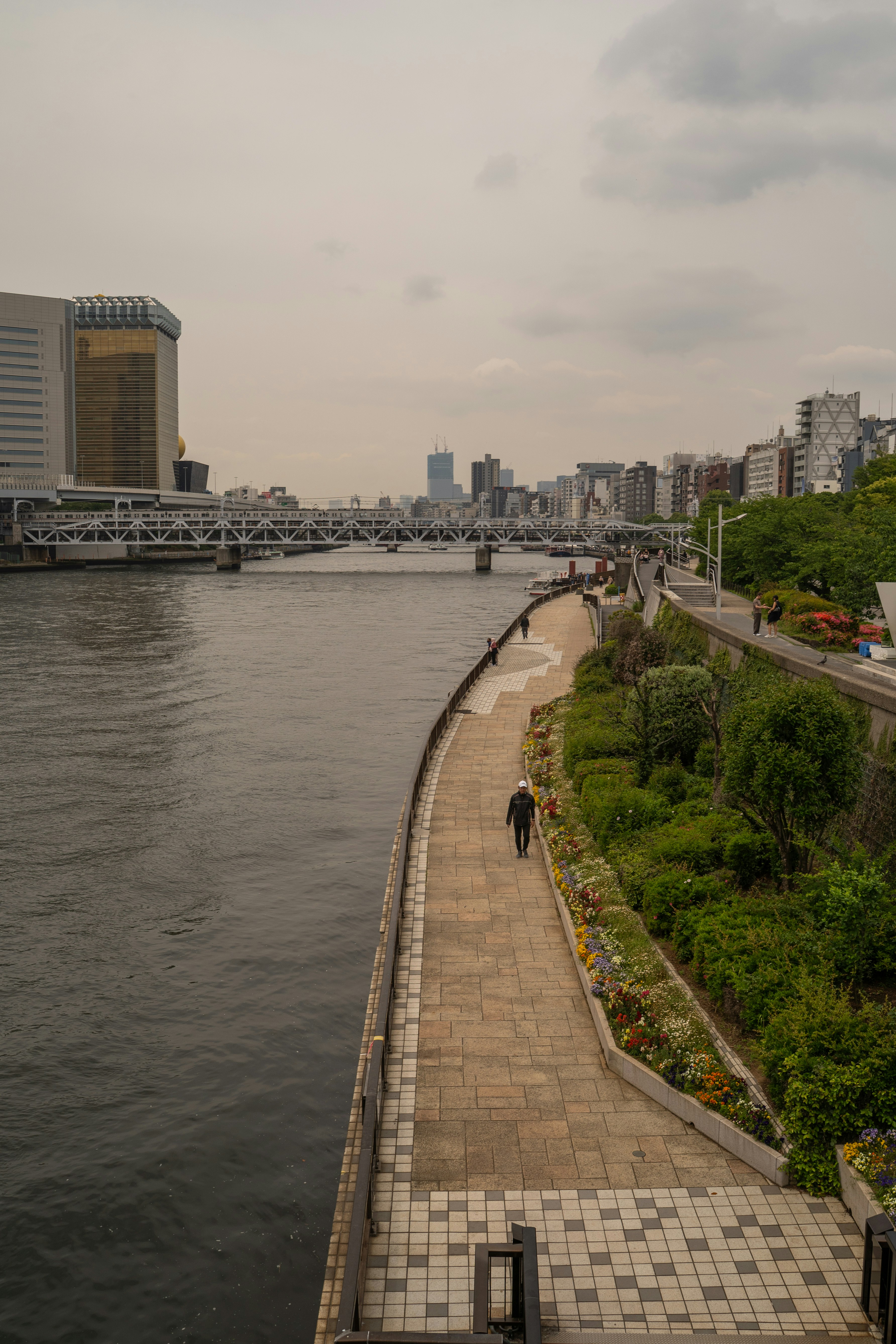 Urban Serenity: A Stroll by the Waterside