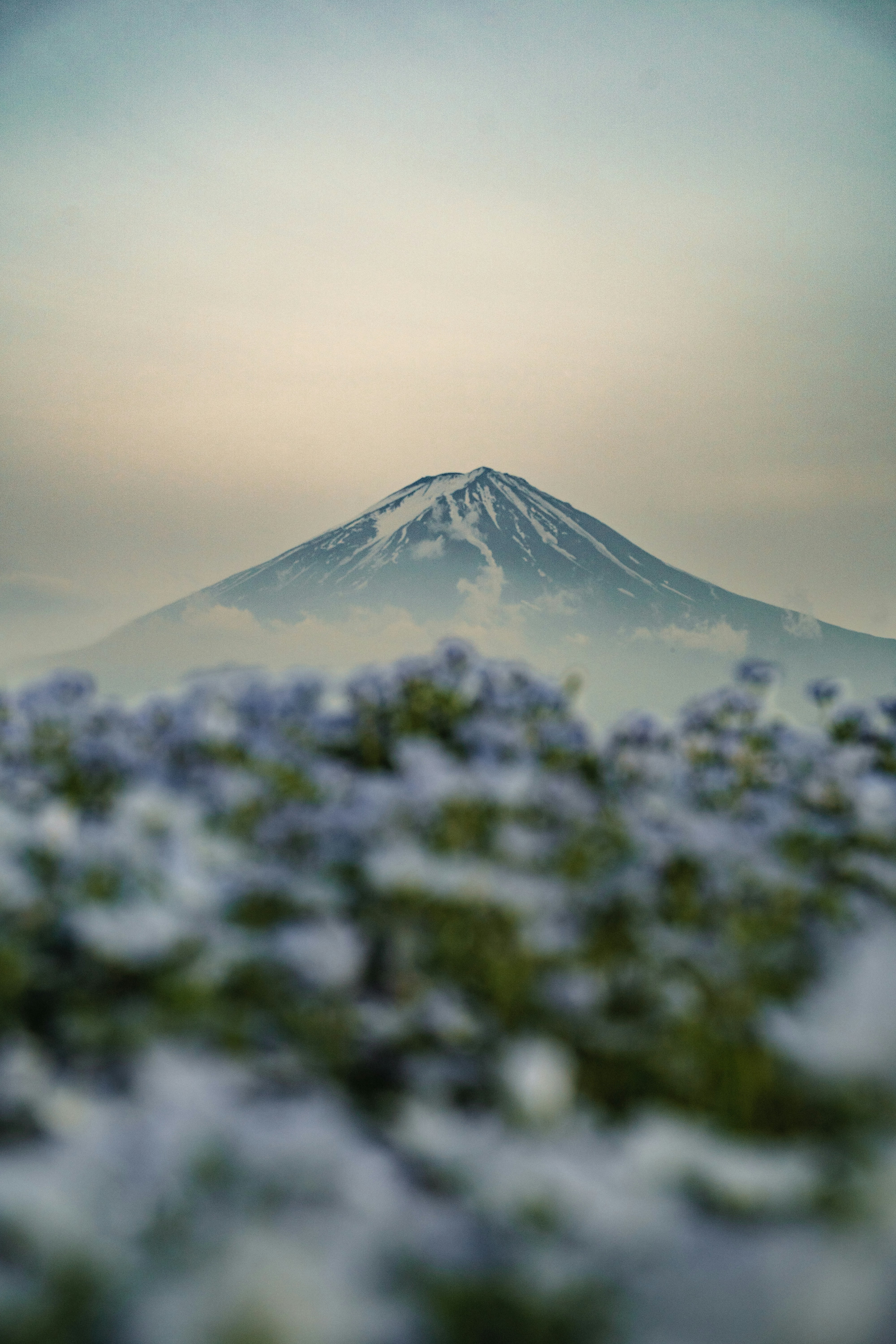 Whispers of Nature: A Mountain's Embrace