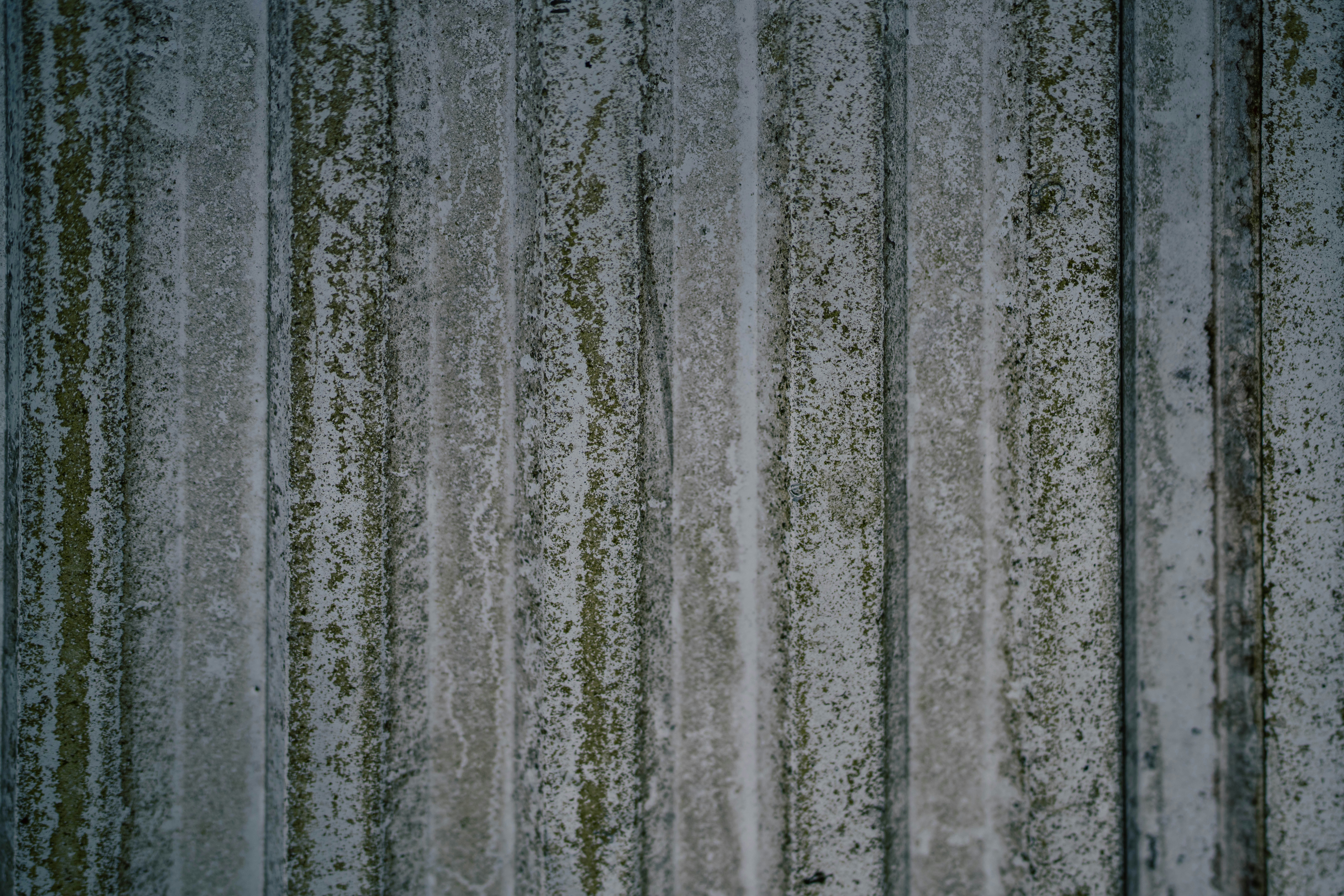 Weathered, vertical planks create a patterned background.