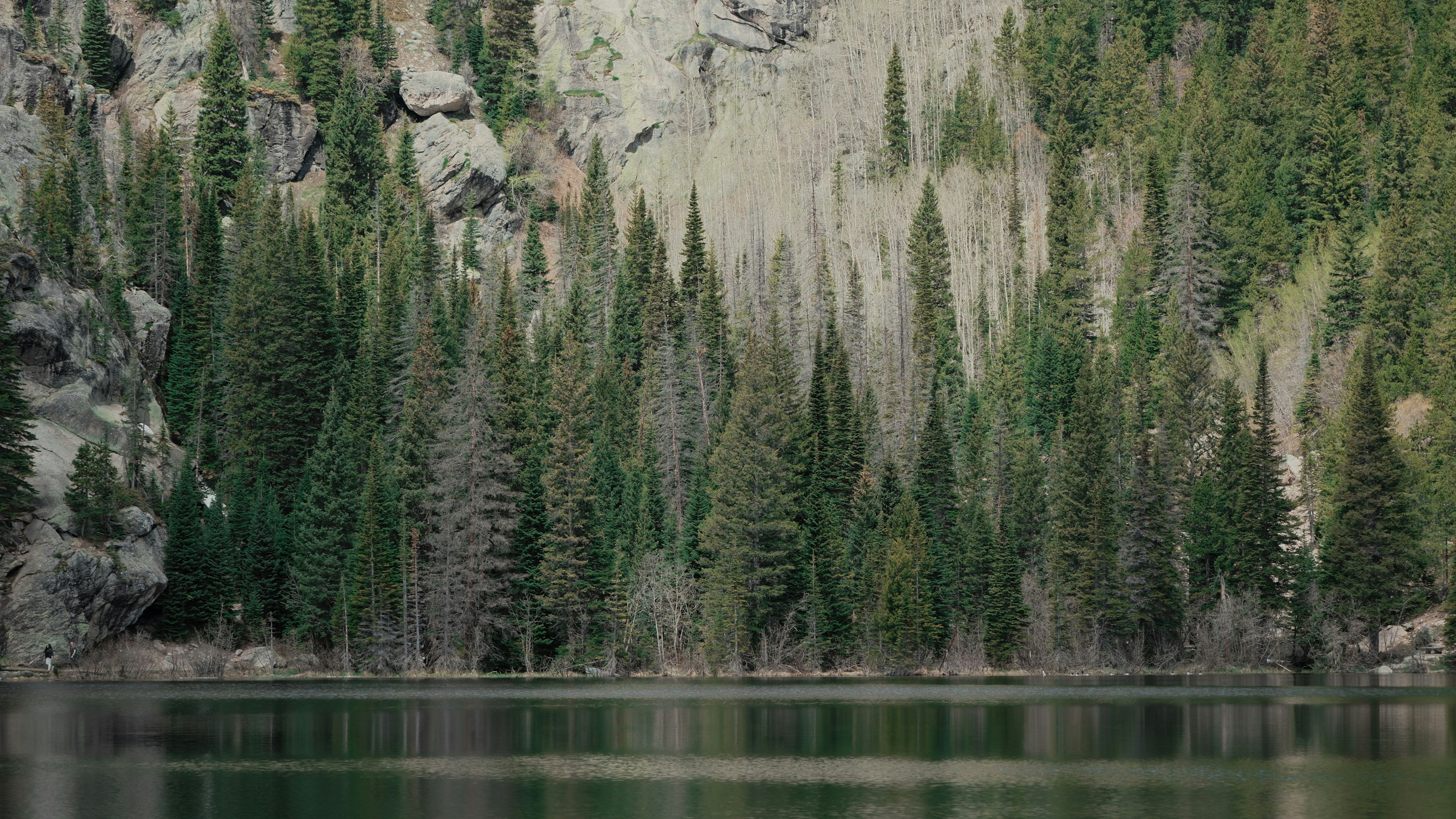 Edge of the Pines, Mirror in Mountain Lake