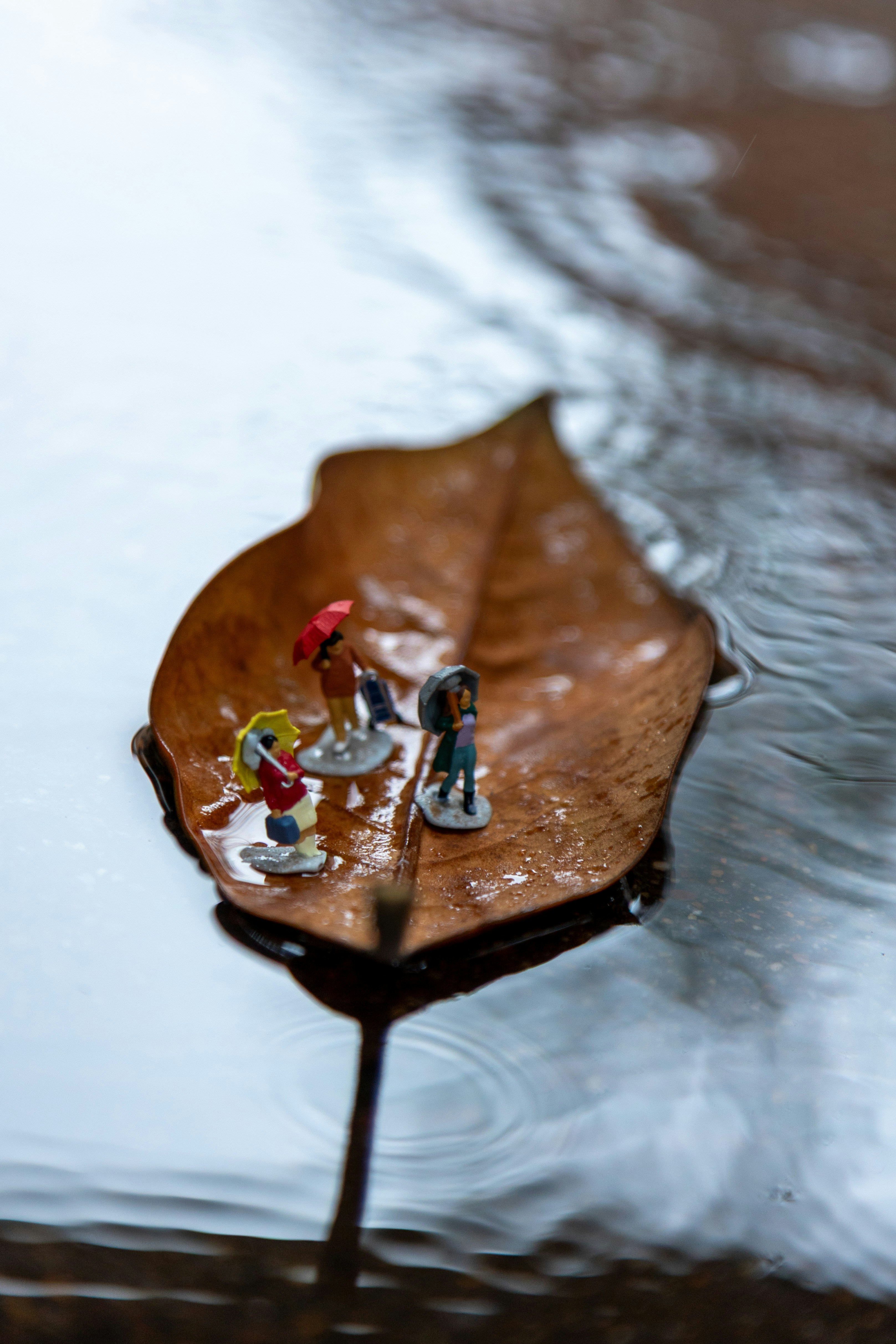 Miniature Parade on a Rain-Kissed Leaf